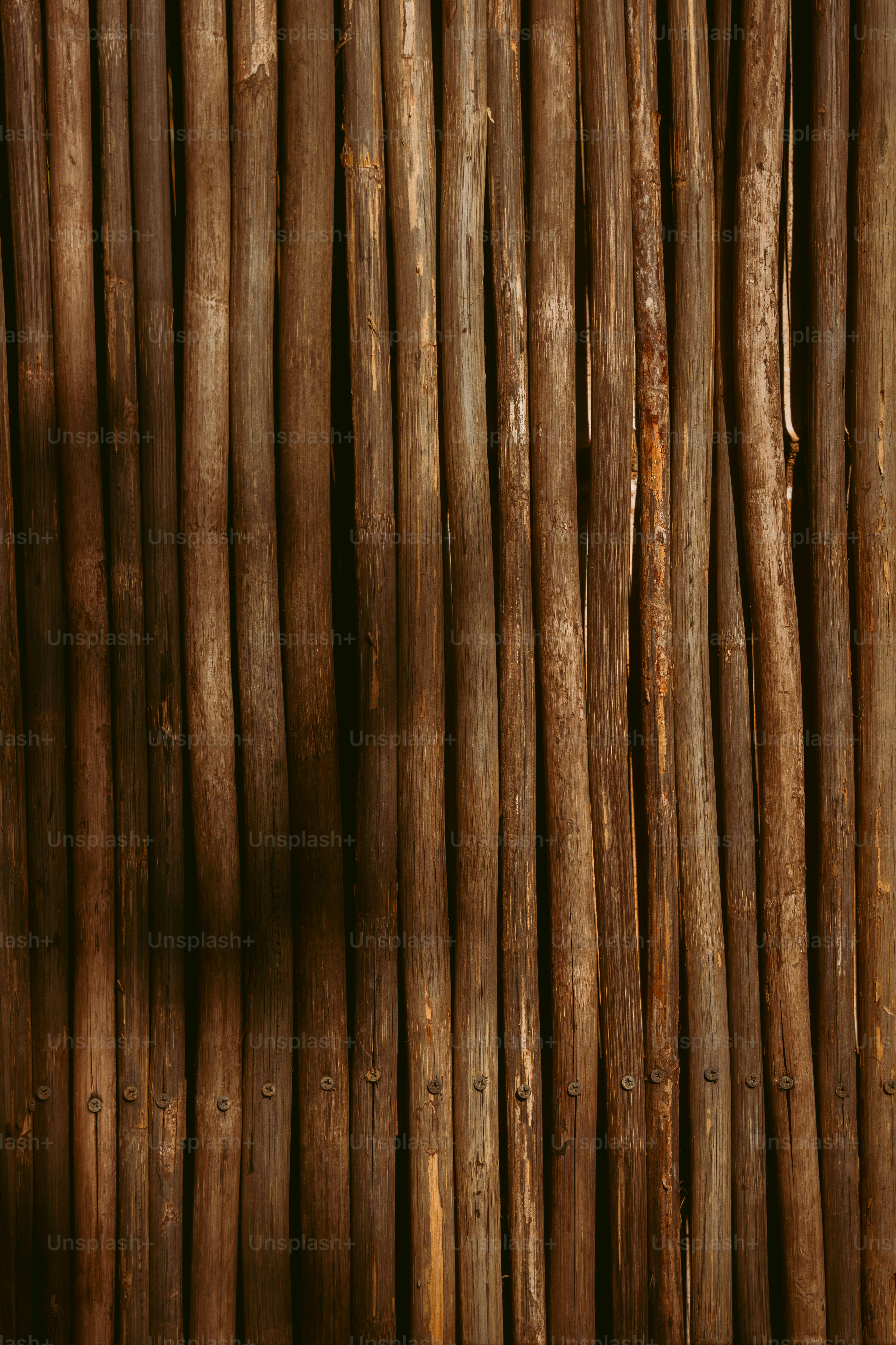 Vertical wooden poles forming a rustic wall photo – Colombia Image on ...