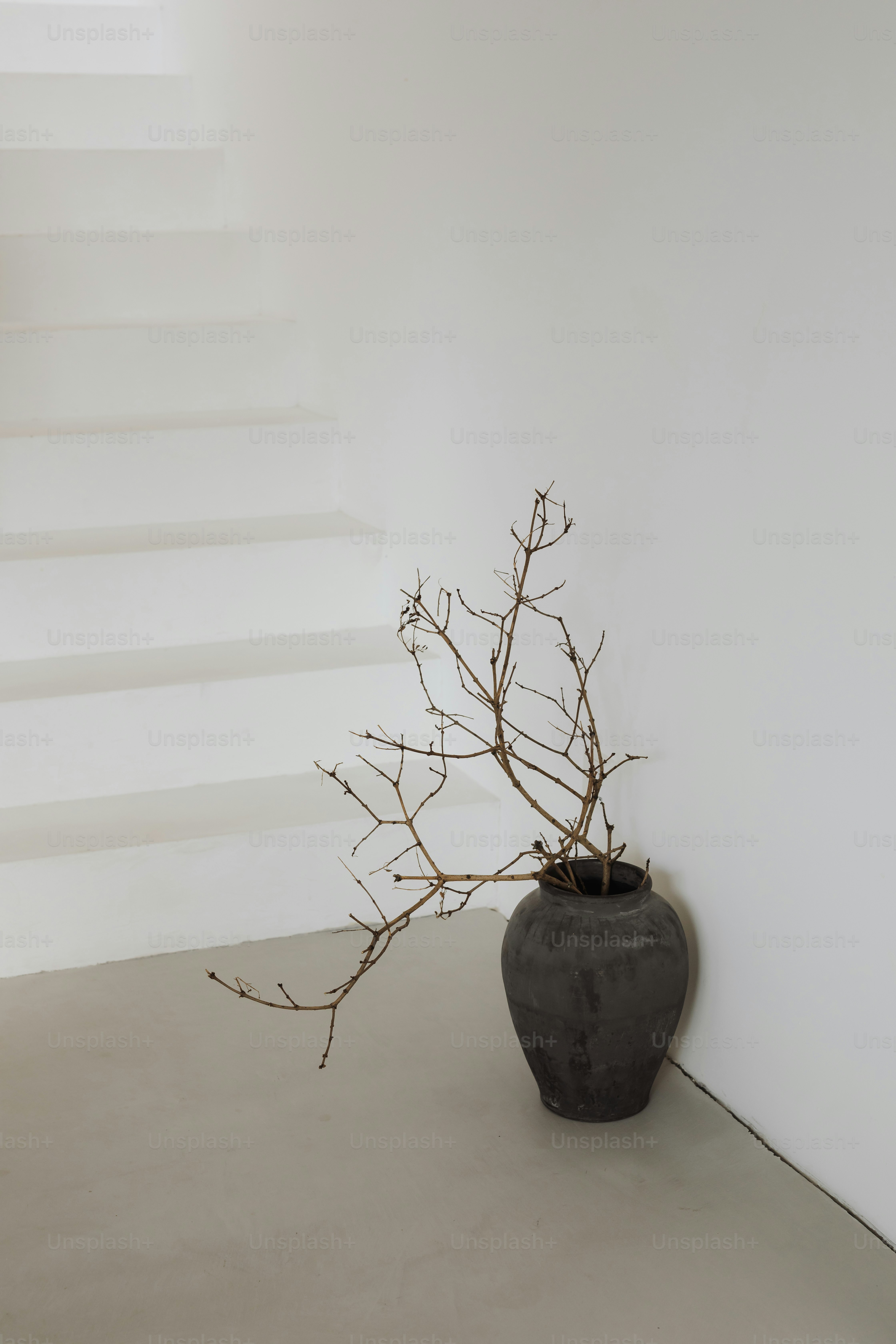 A dark vase with bare branches in a white room. photo – Texture Image ...