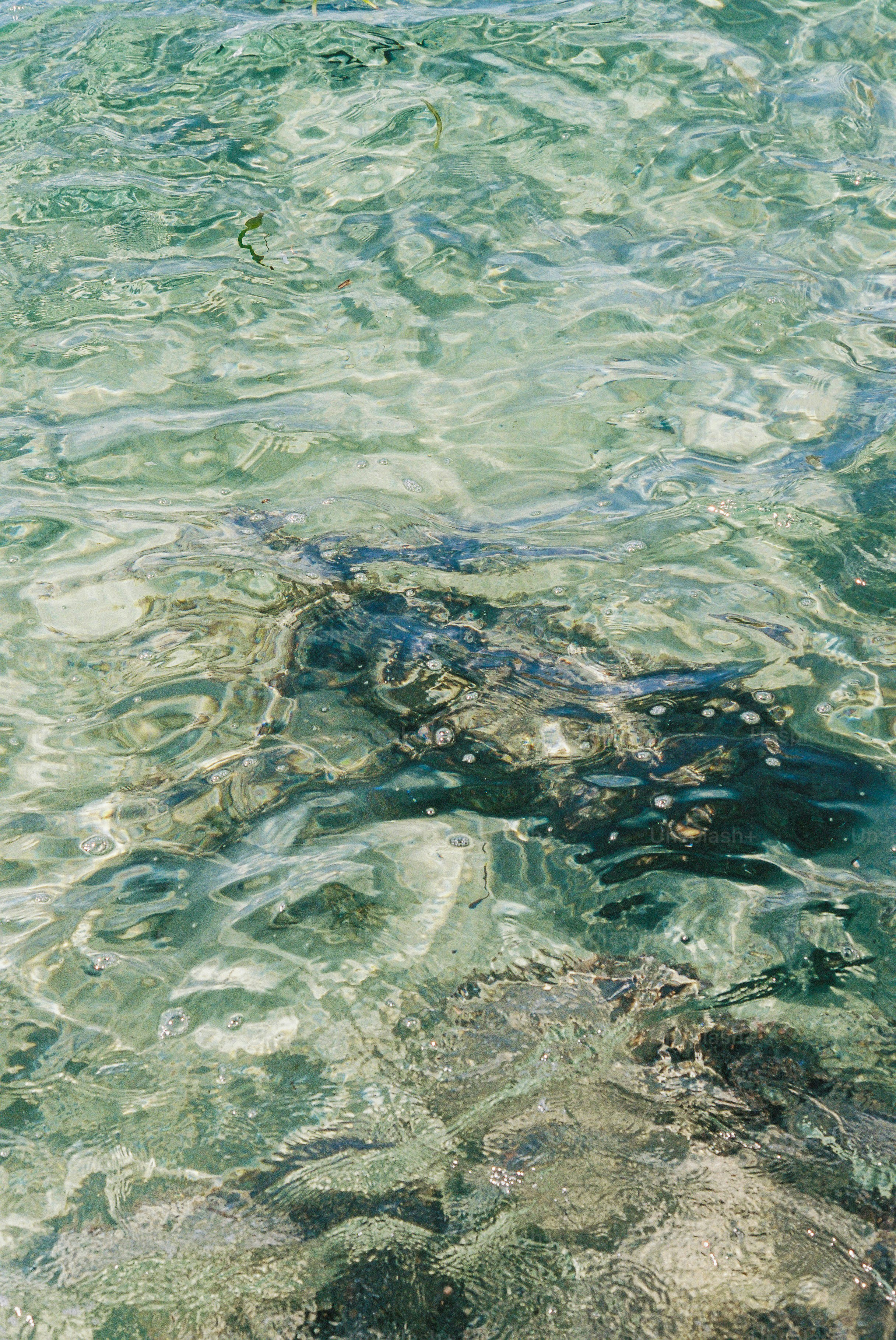 Clear ocean water reveals rocks and submerged debris. photo – Sea Image ...