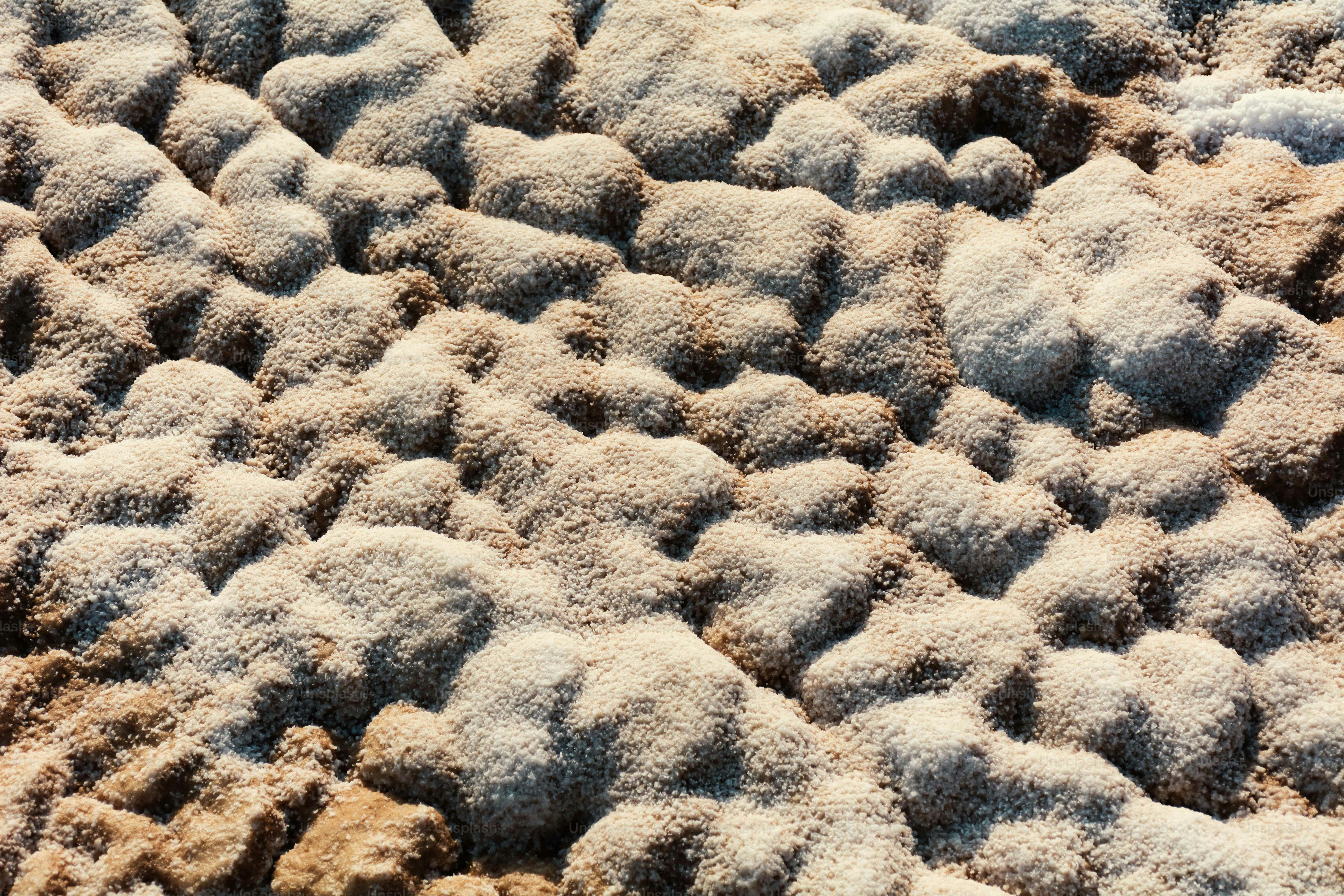 Close-up of textured sandstone with shadows photo – Background Image on ...