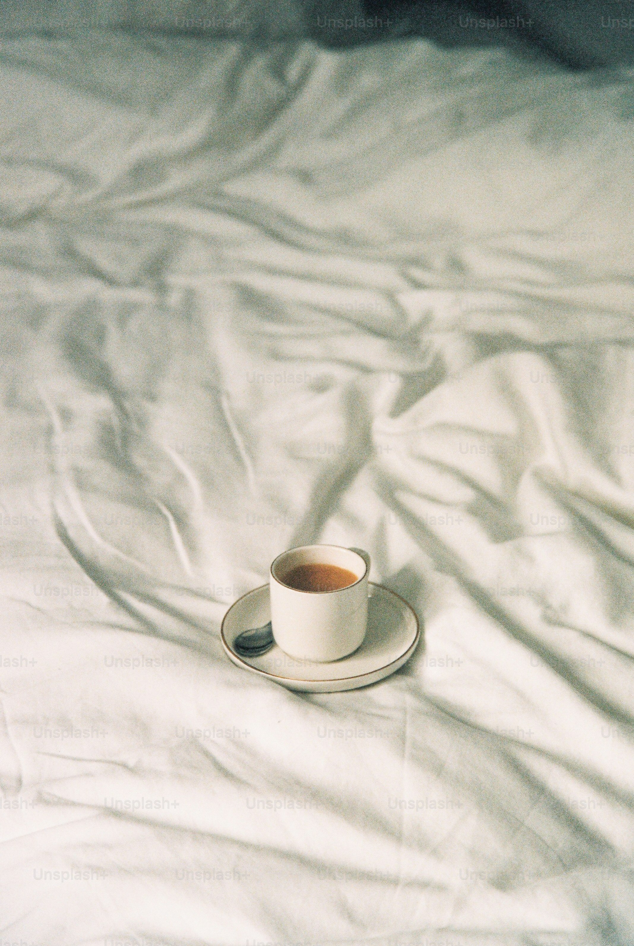Green philodendron vines hanging against a white wall. photo – Plant ...