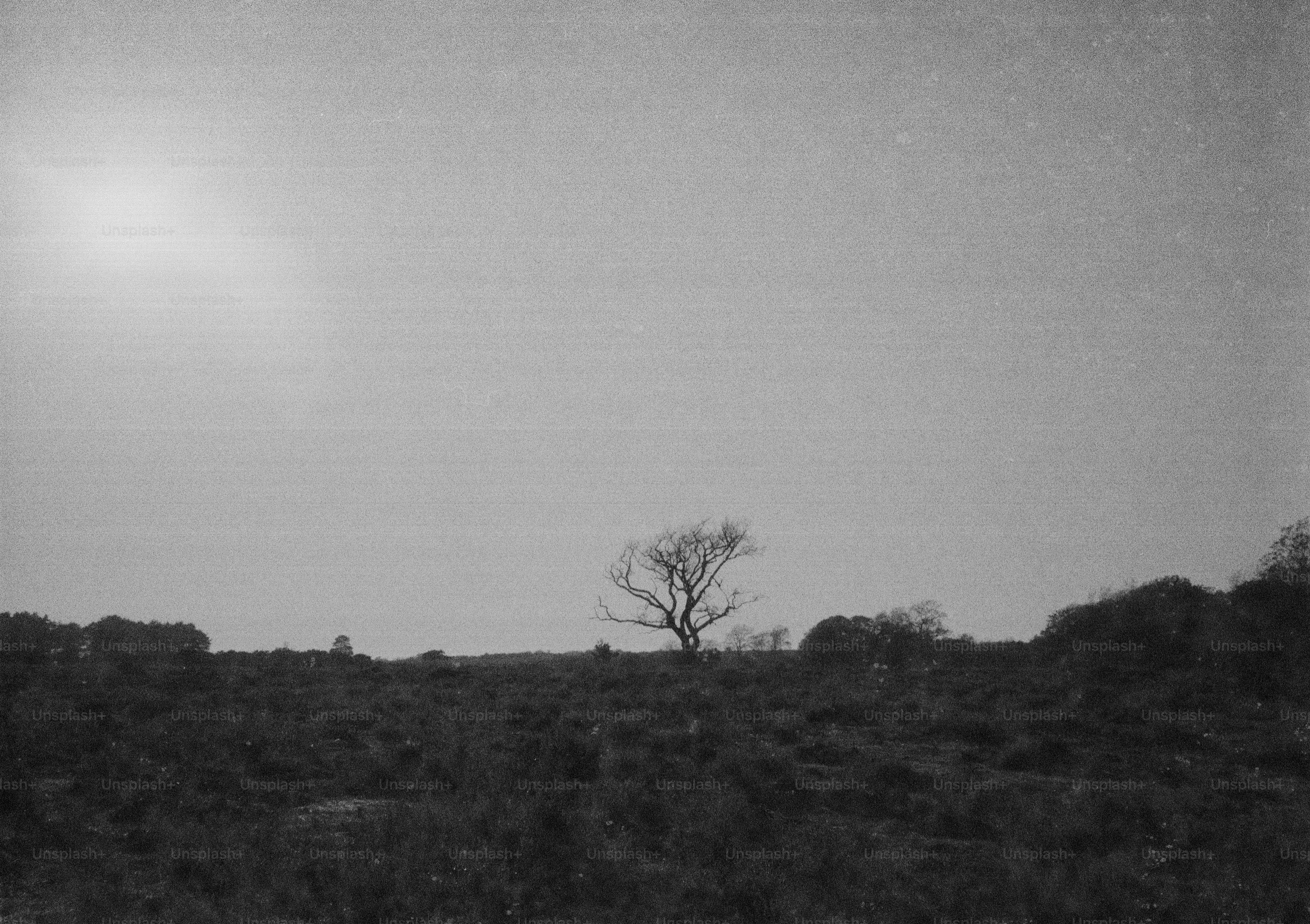 Black White Landscape Pictures | Download Free Images on Unsplash