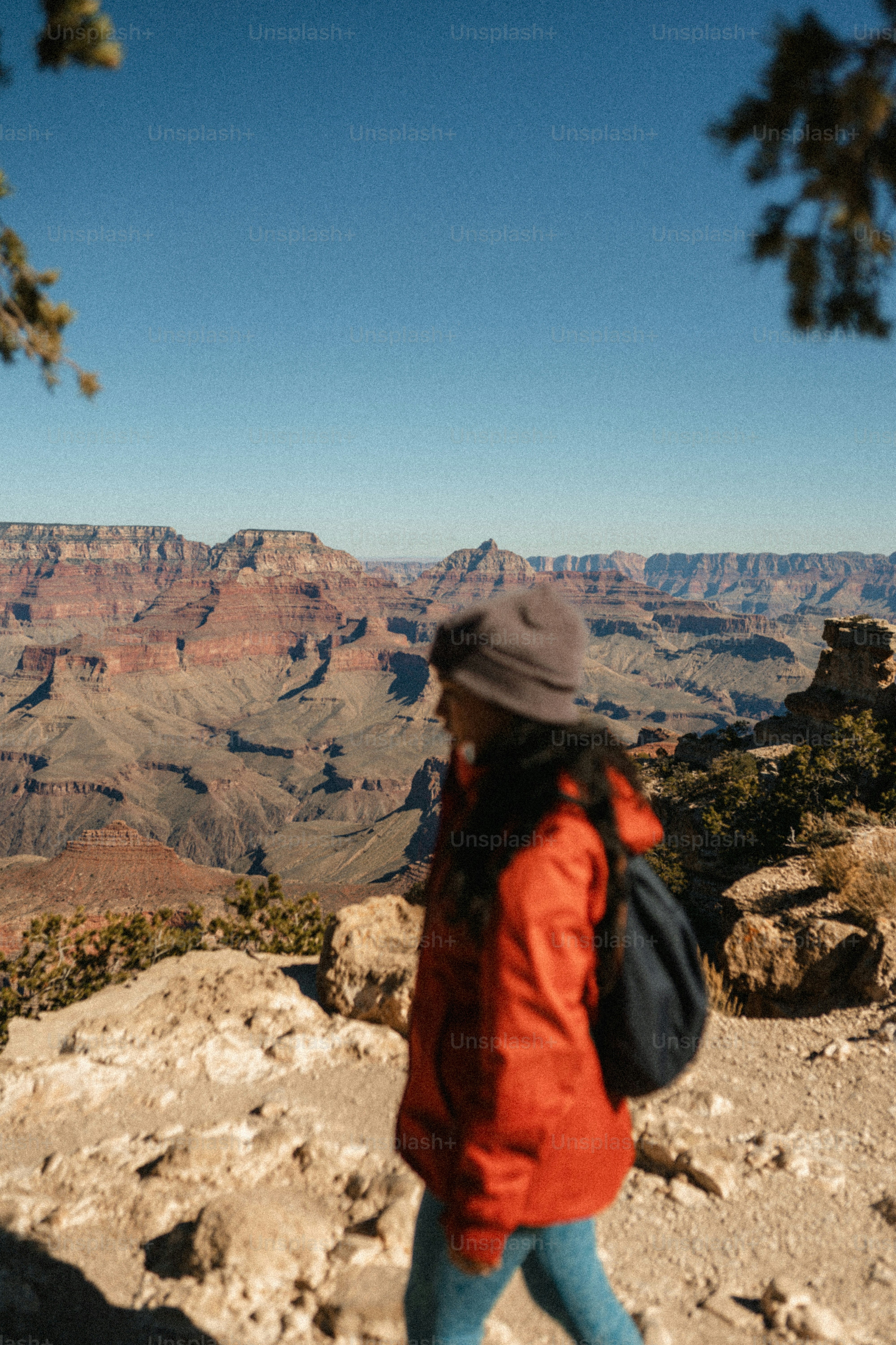 Woman walking at the grand canyon overlook photo – Travel Image on Unsplash