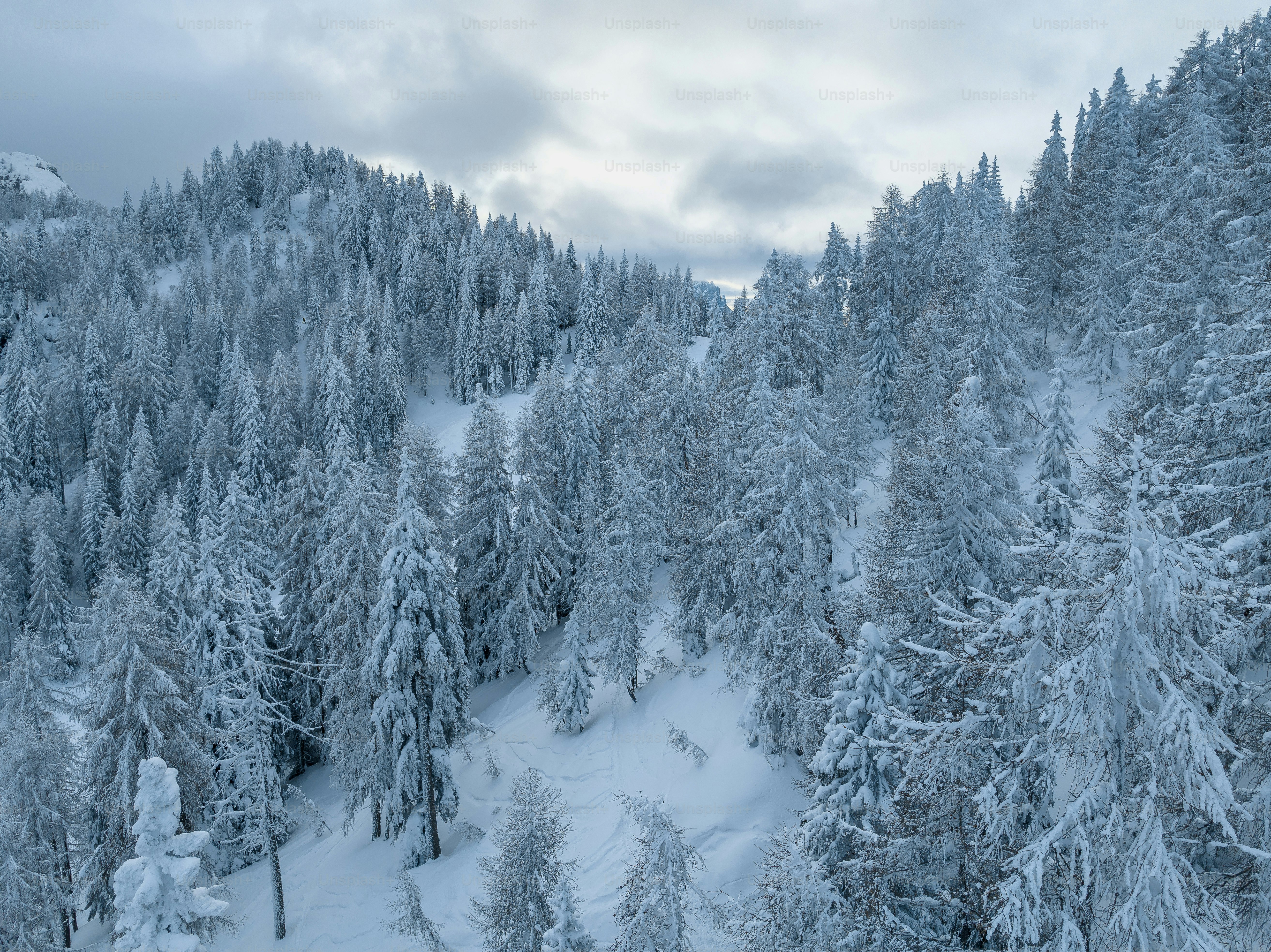 Une cabane enneigée nichée parmi les arbres givrés au lever du soleil ...