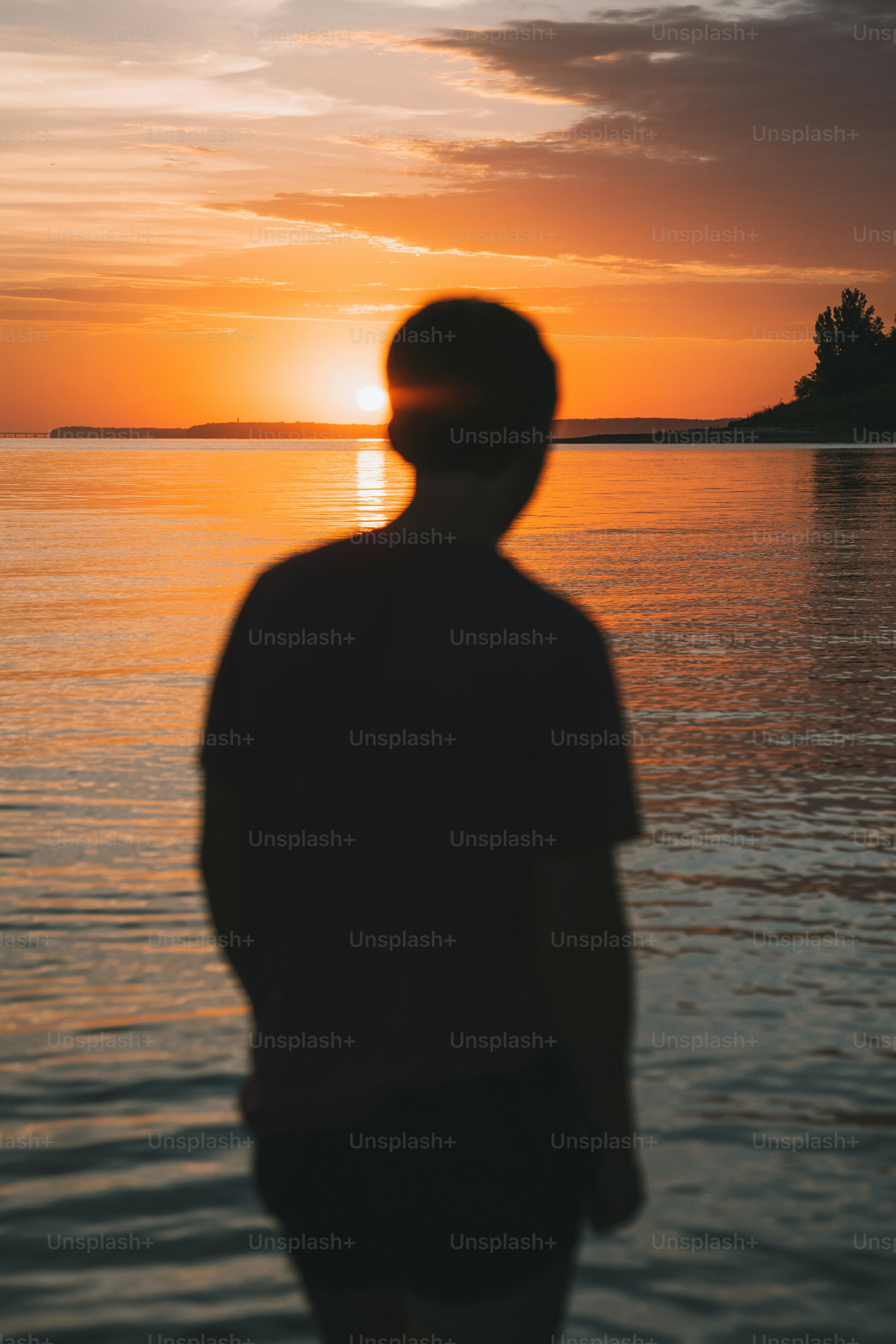 Silhouette of a person watching a vibrant sunset over water photo ...