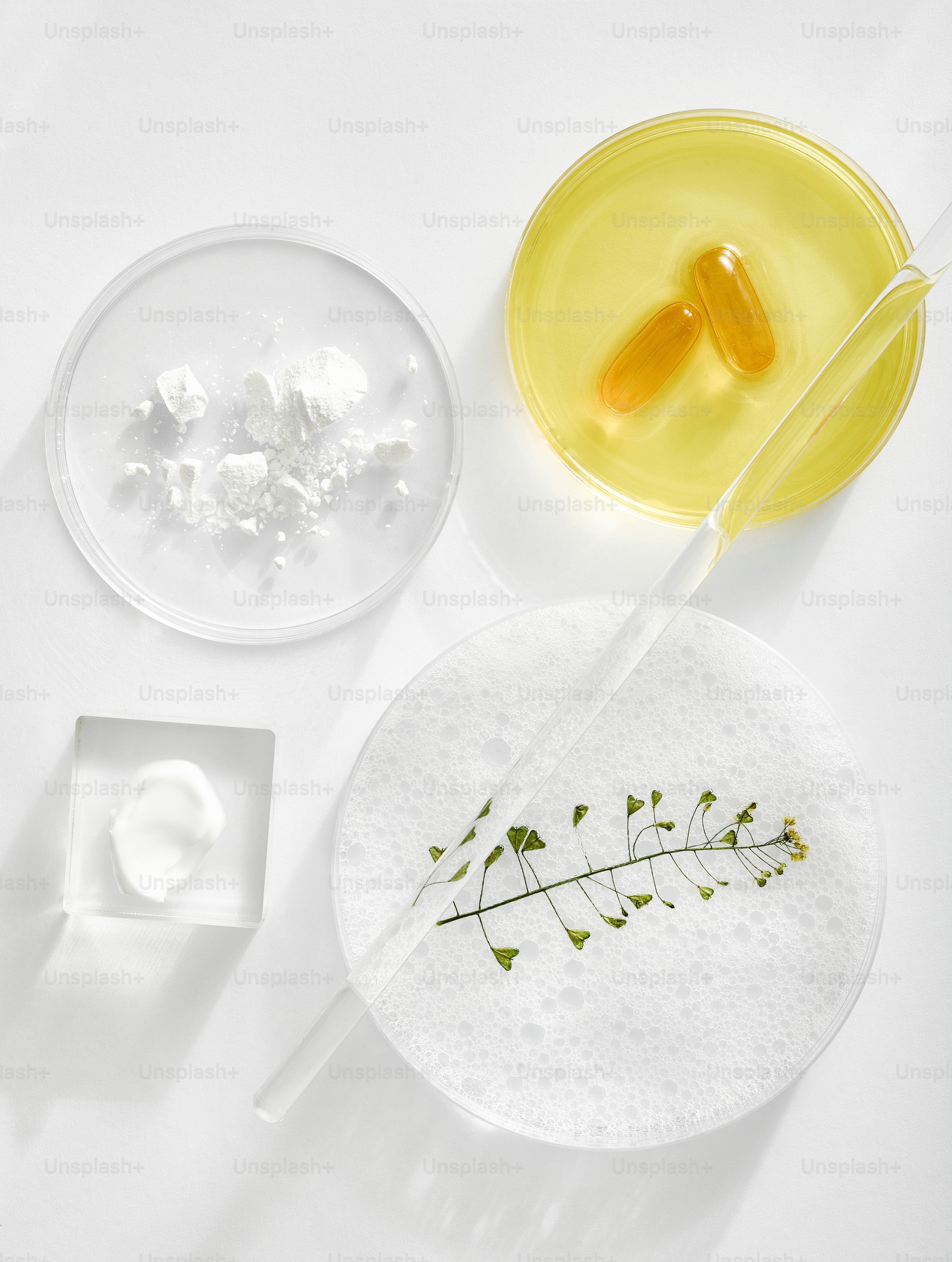 White cream and clear liquids in lab dishes photo – Texture Image on ...