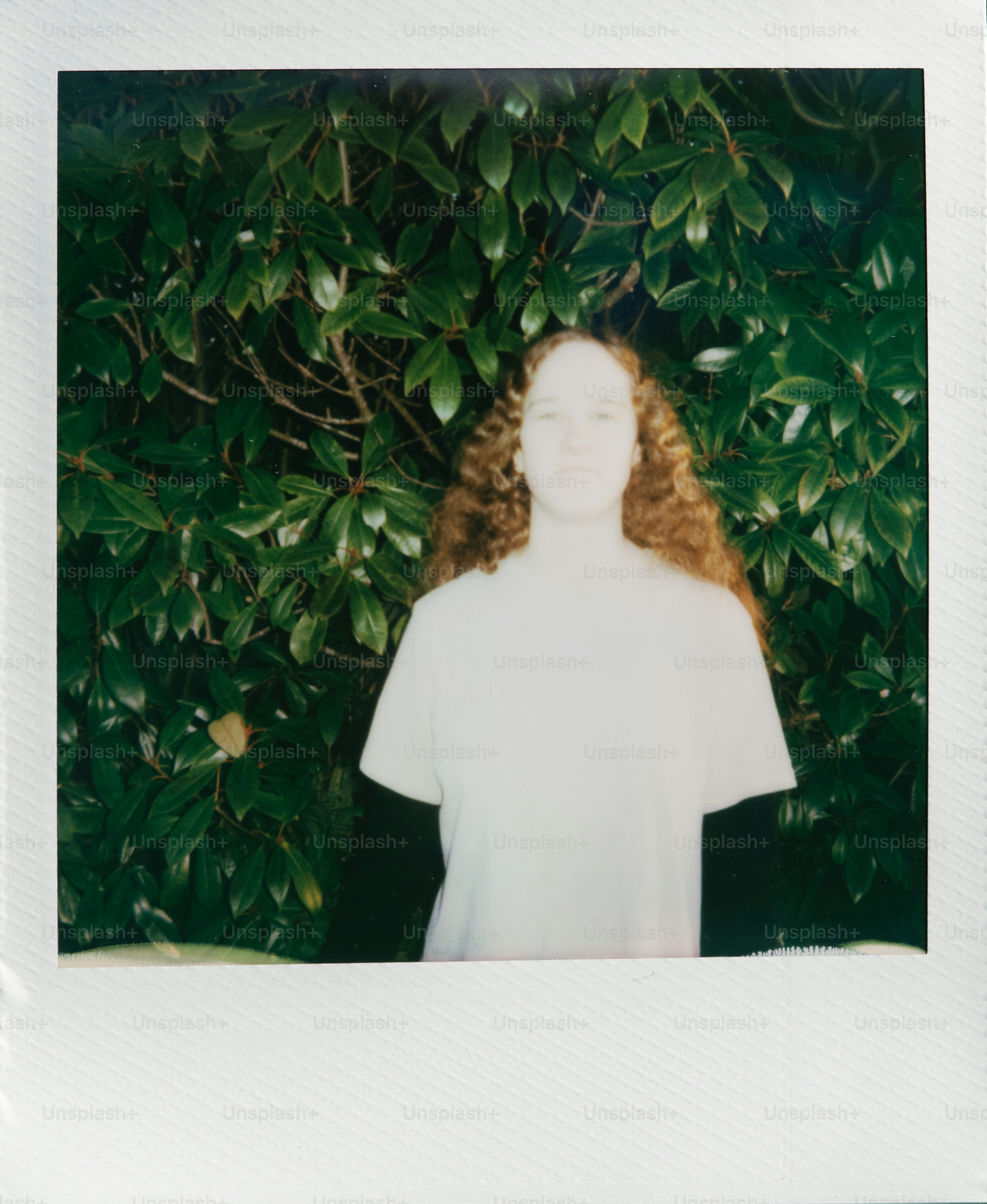 Autumn leaves in yellow and brown hues photo – Polaroid Image on Unsplash