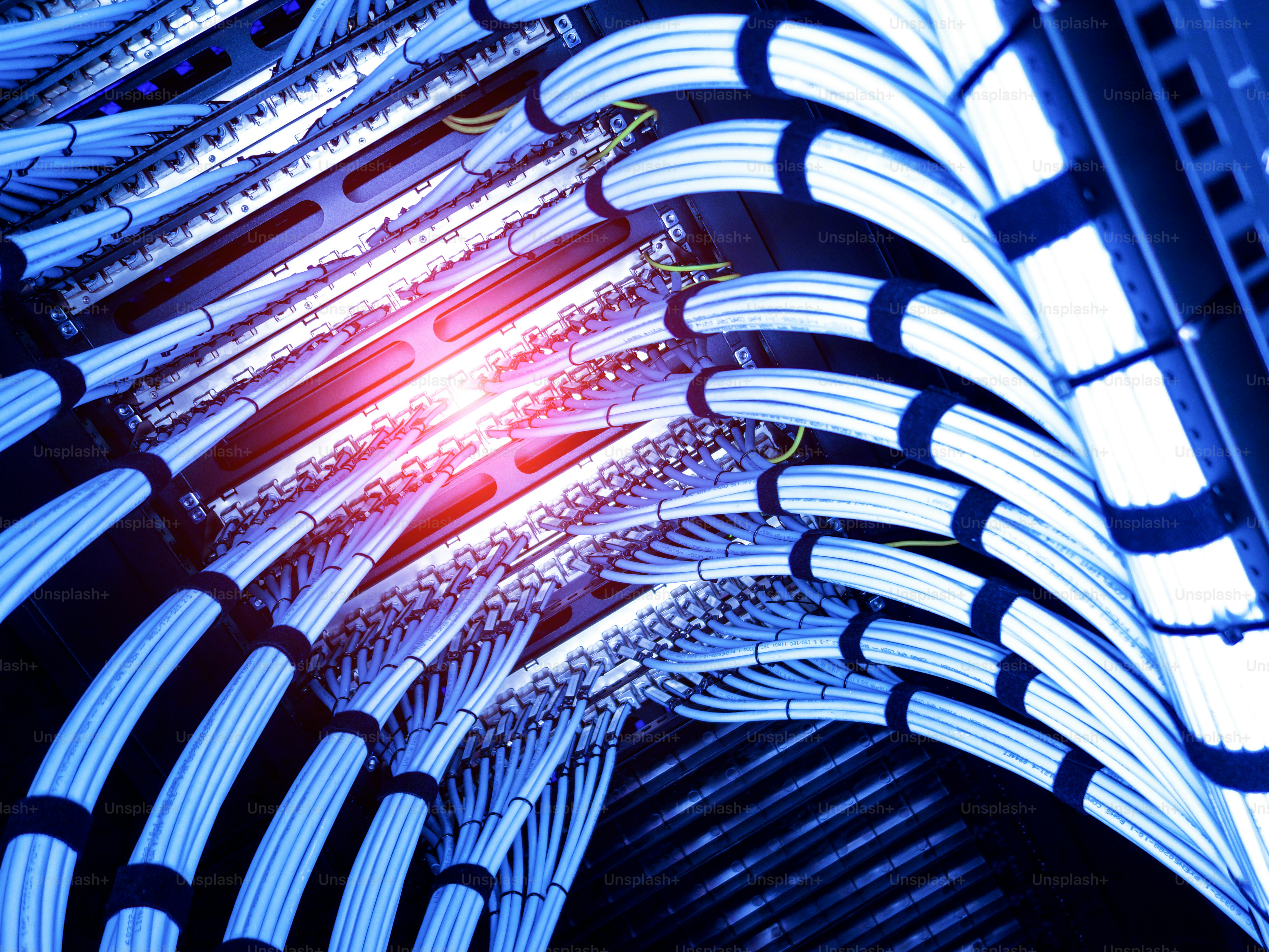 A captivating view of modern data center cables illuminated in blue ...