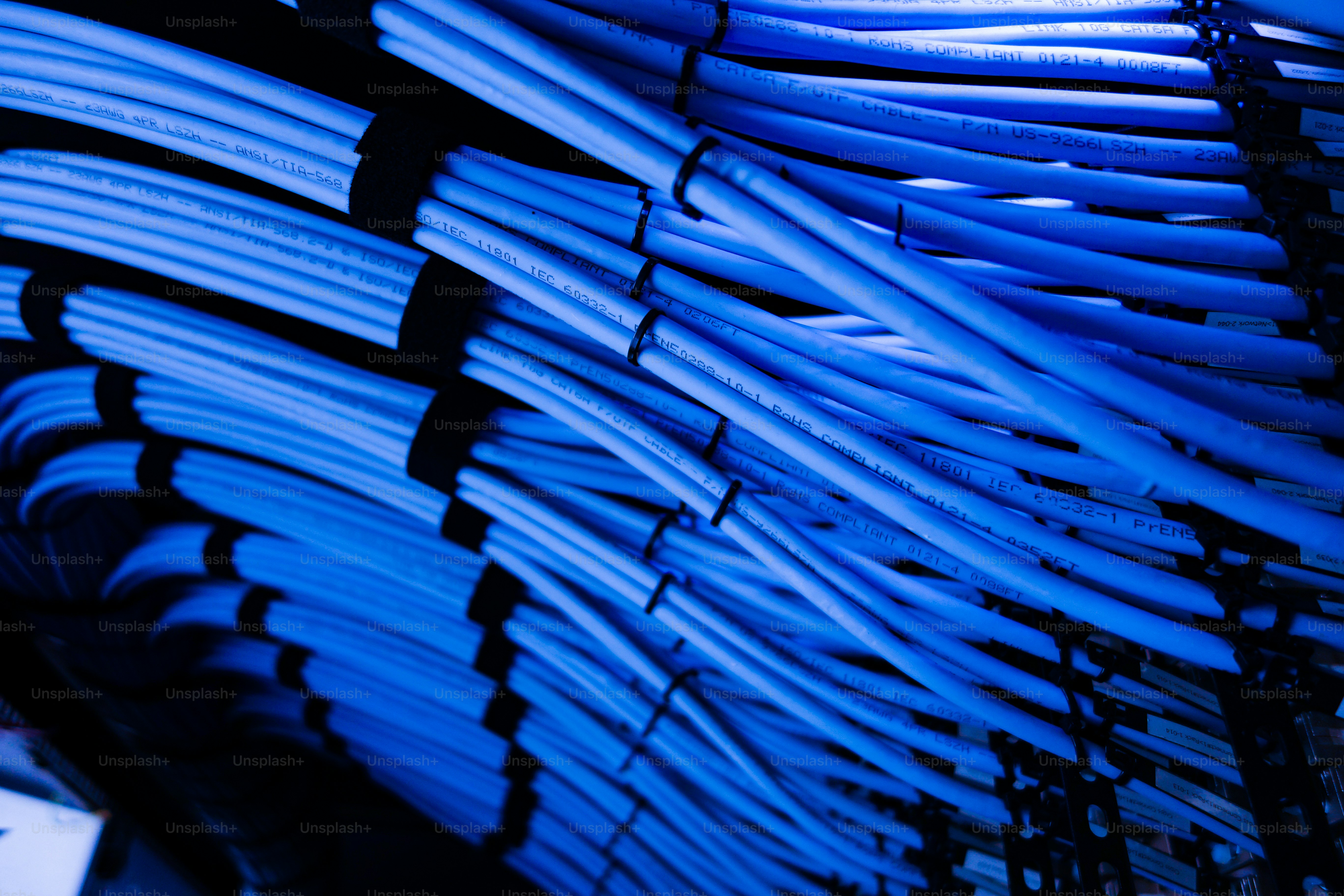 Uma visão de perto dos cabos de rede azuis organizados dentro de um ...