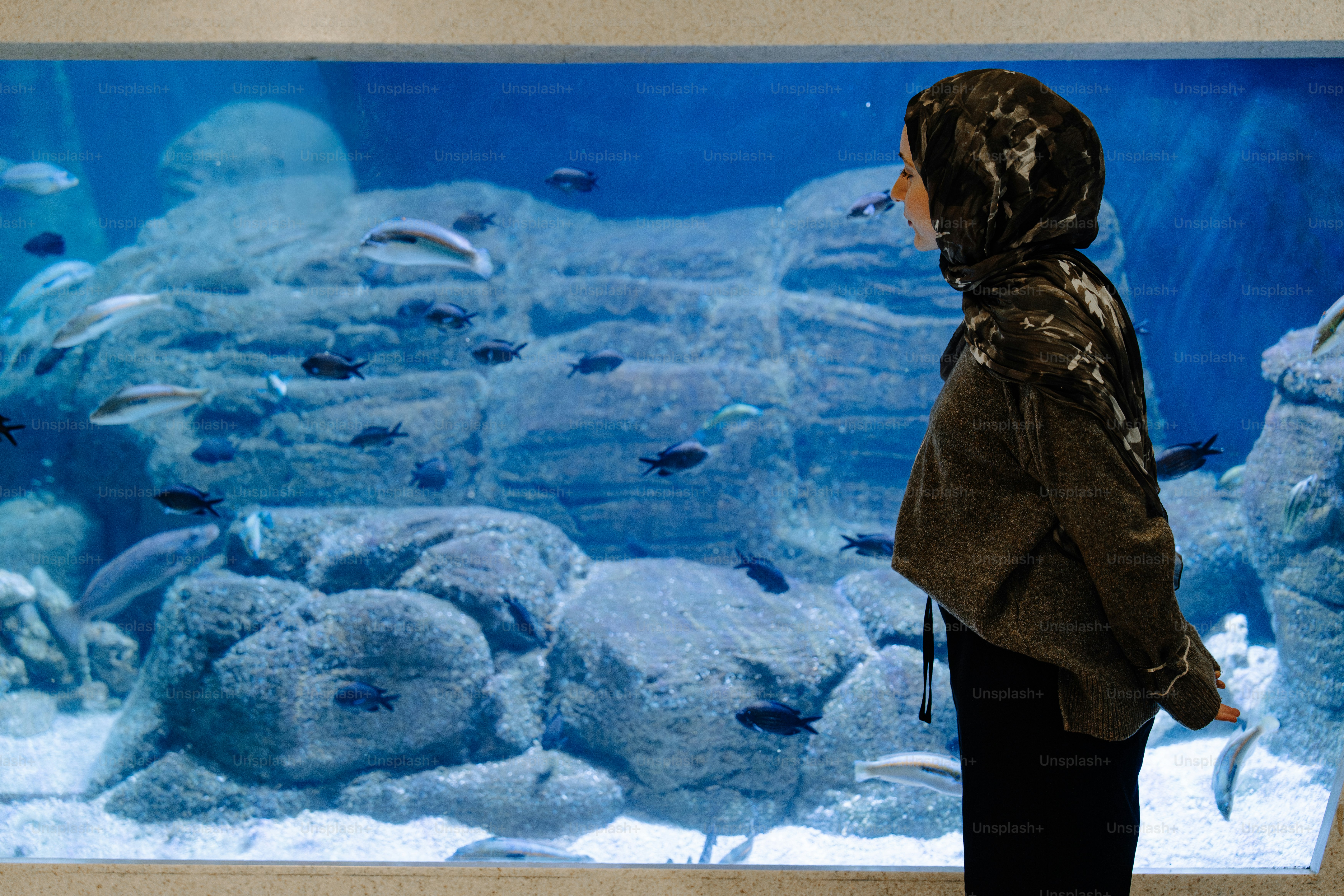 Woman gazes at fish in a large aquarium exhibit. photo – Underwater ...