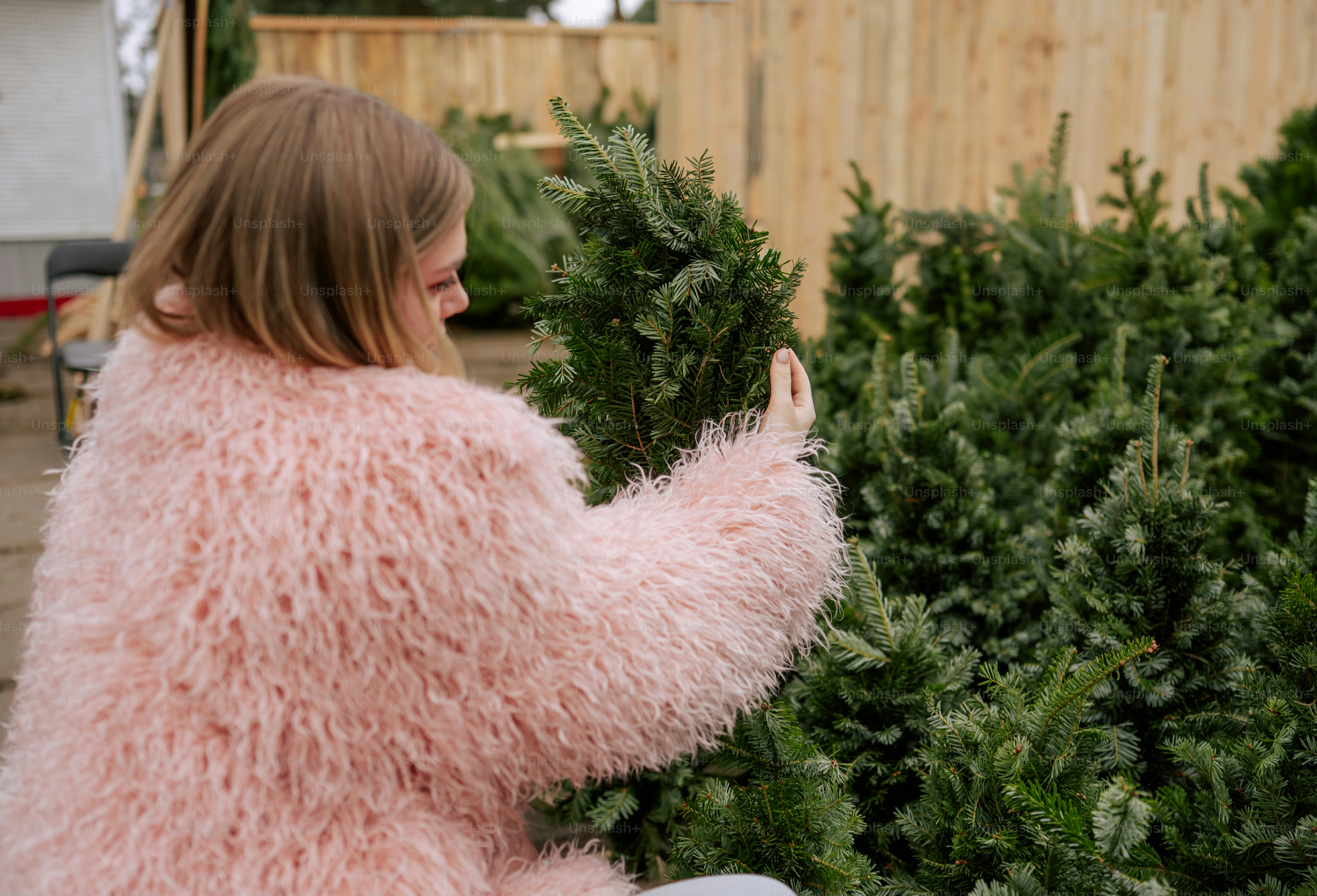 Woman choosing a christmas tree from many options. photo – Christmas ...