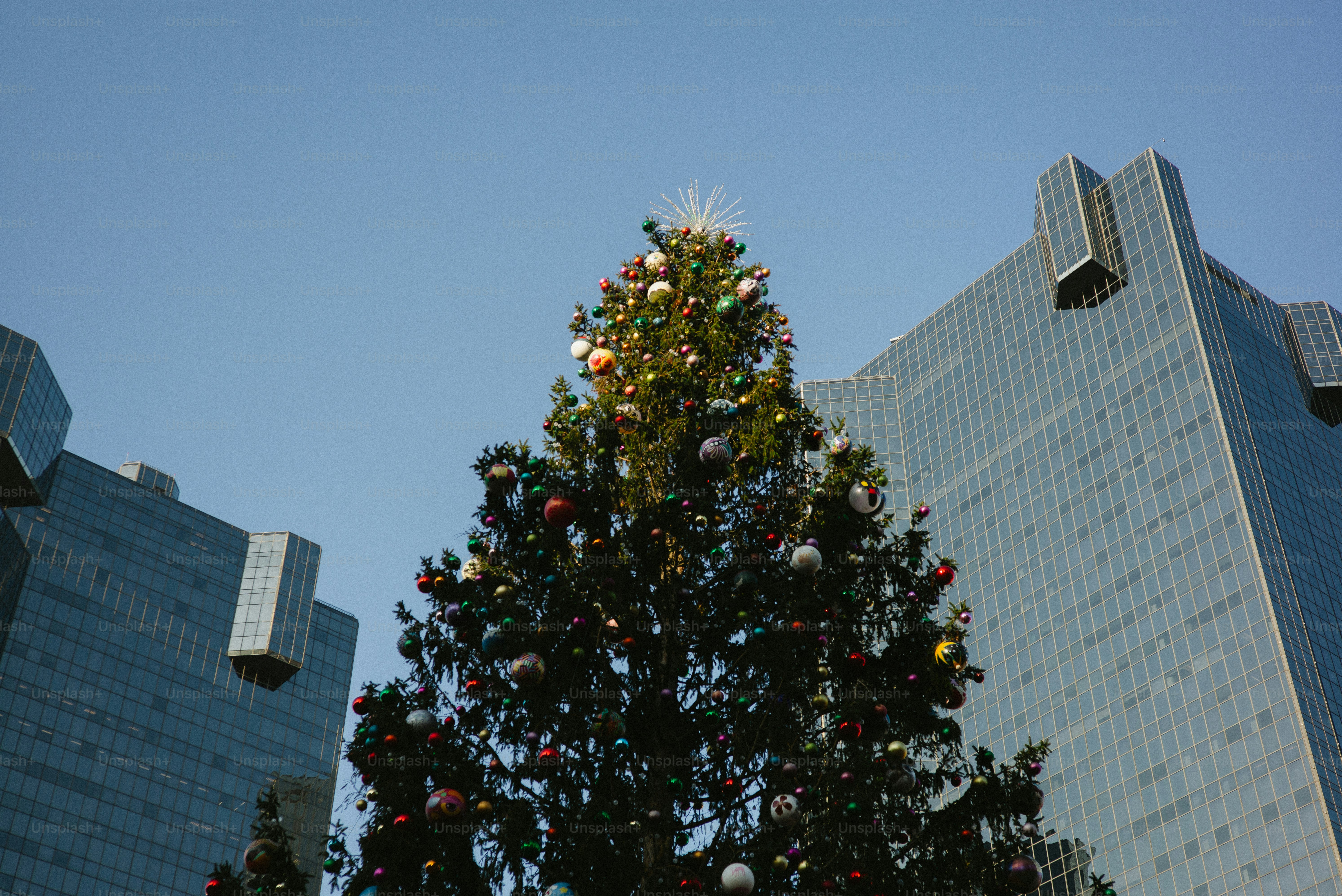 Decorated christmas tree in front of modern buildings. photo ...