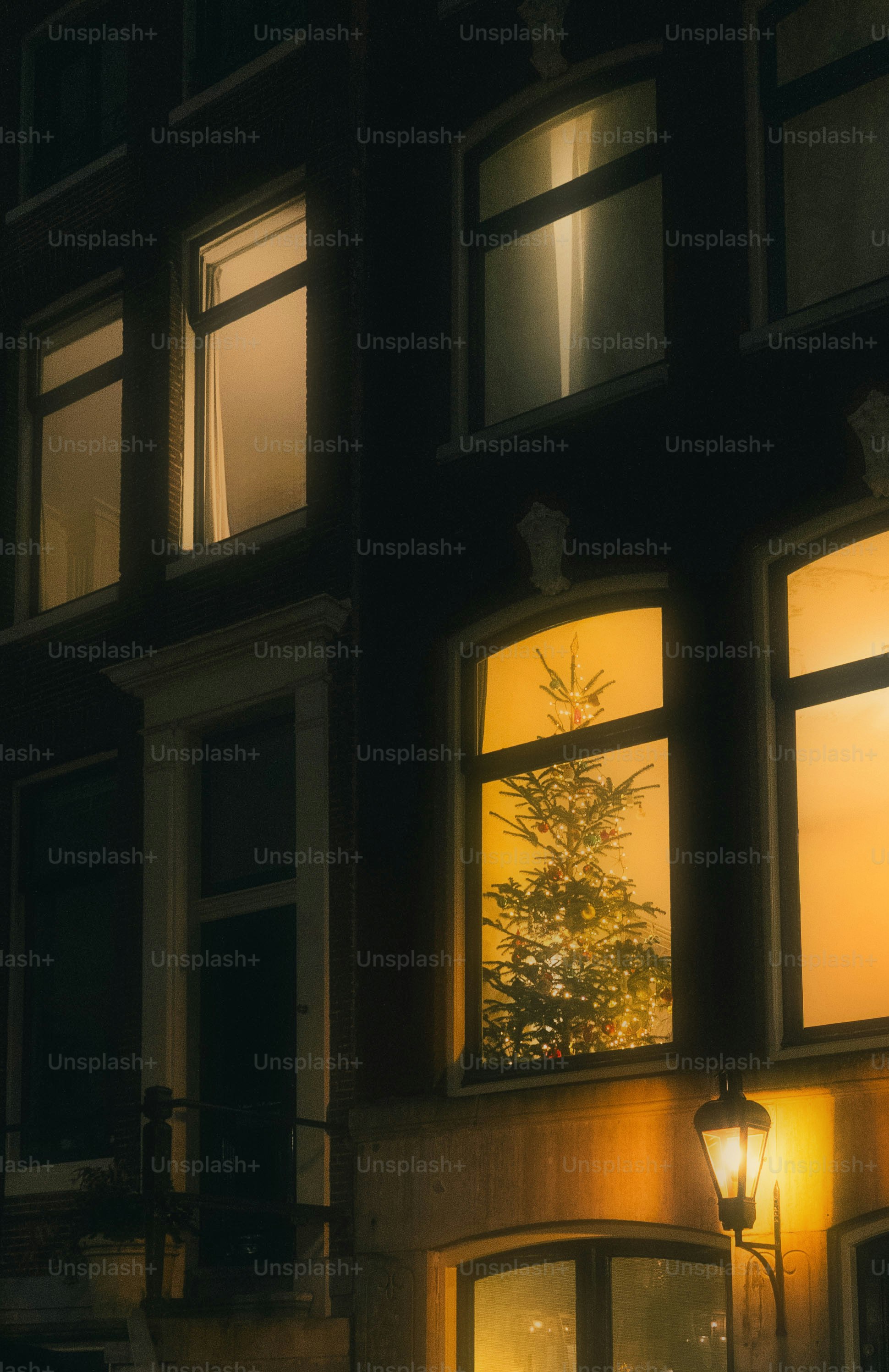 Christmas tree glowing in a window at night photo – Christmas Image on ...
