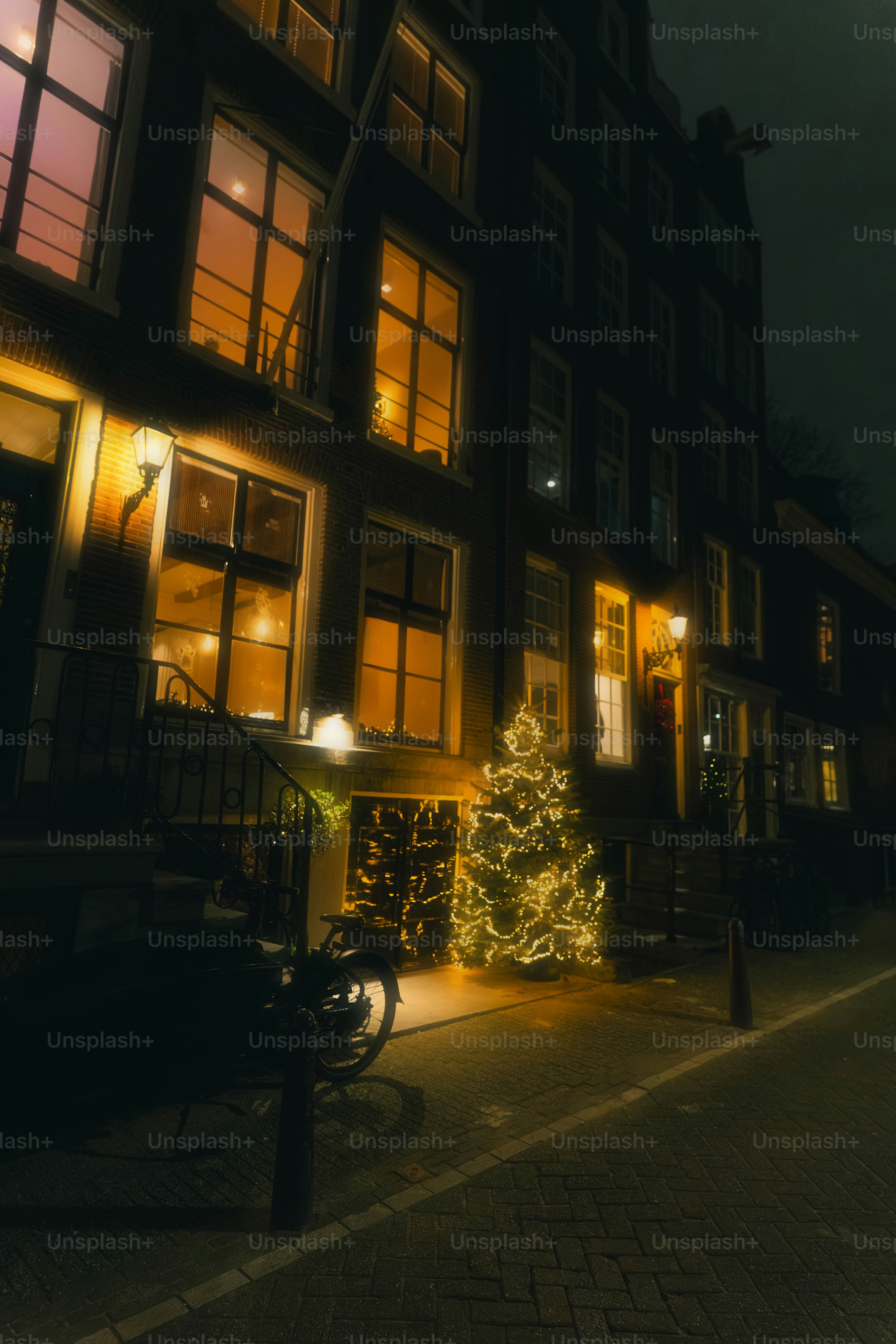 Trees decorated with string lights at night. photo – Christmas Image on ...