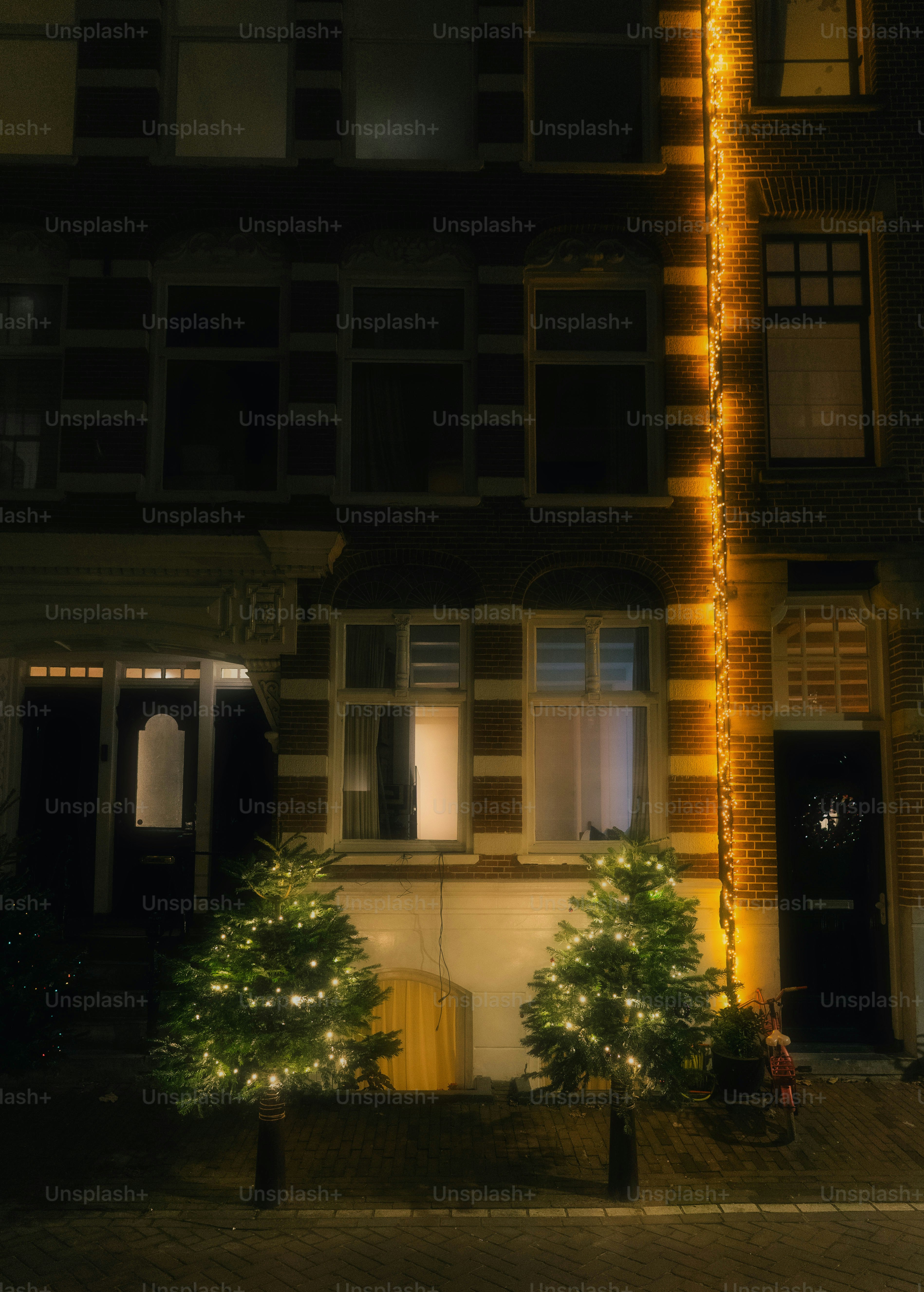 Two decorated christmas trees outside a building at night. photo ...