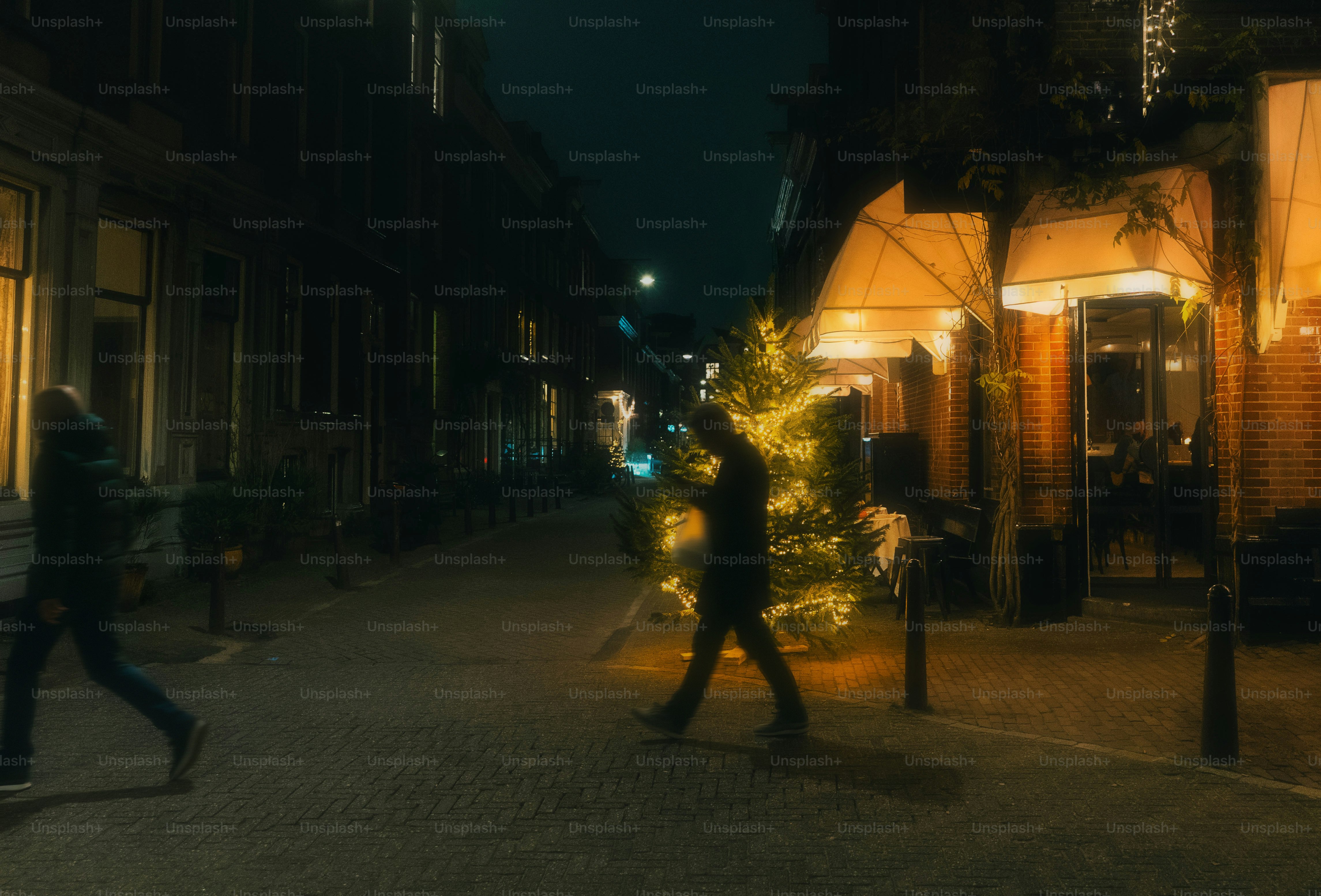 Trees decorated with string lights at night. photo – Christmas Image on ...