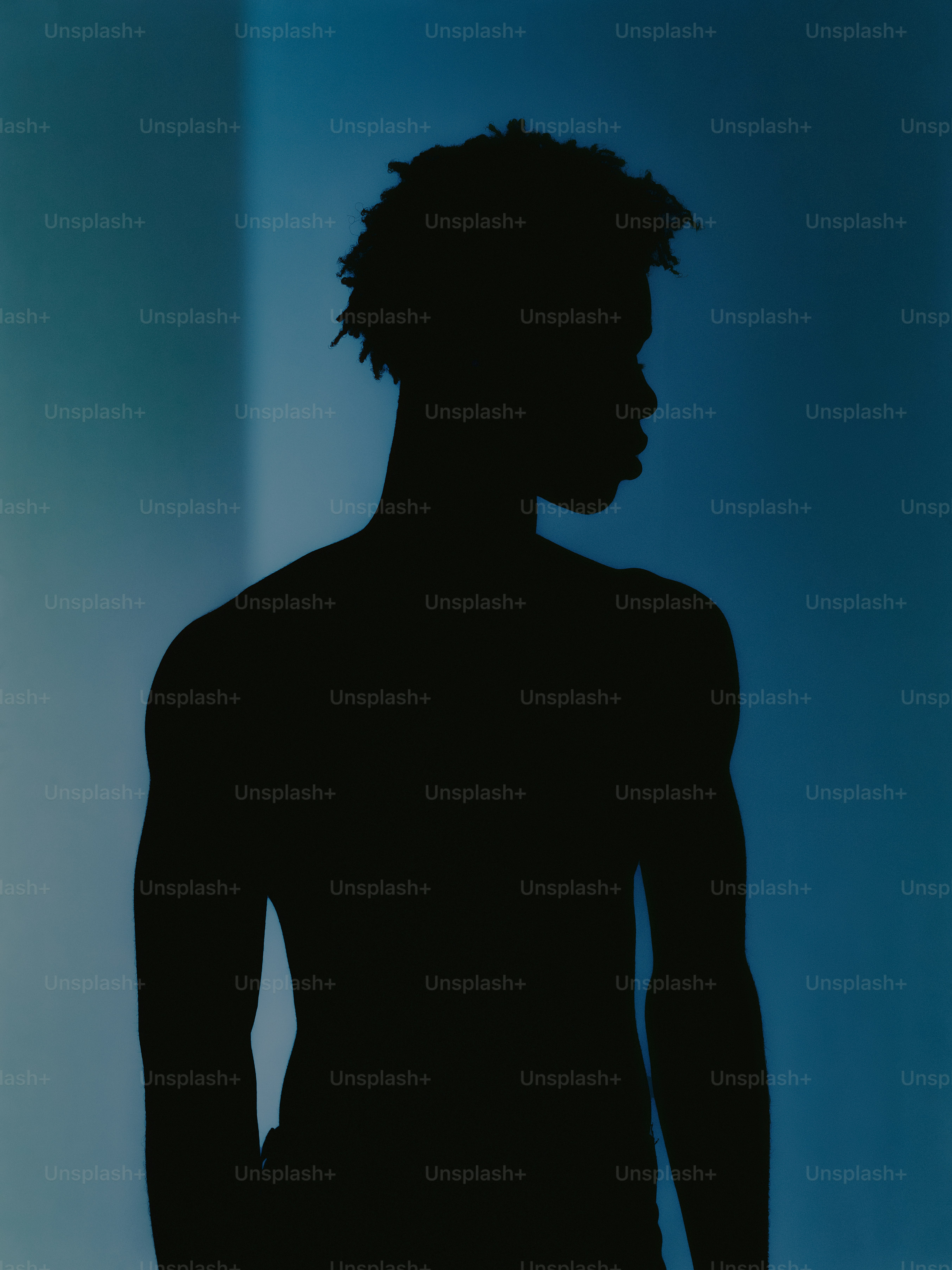 Silhouette of a man against a blue background photo – Portrait Image on ...