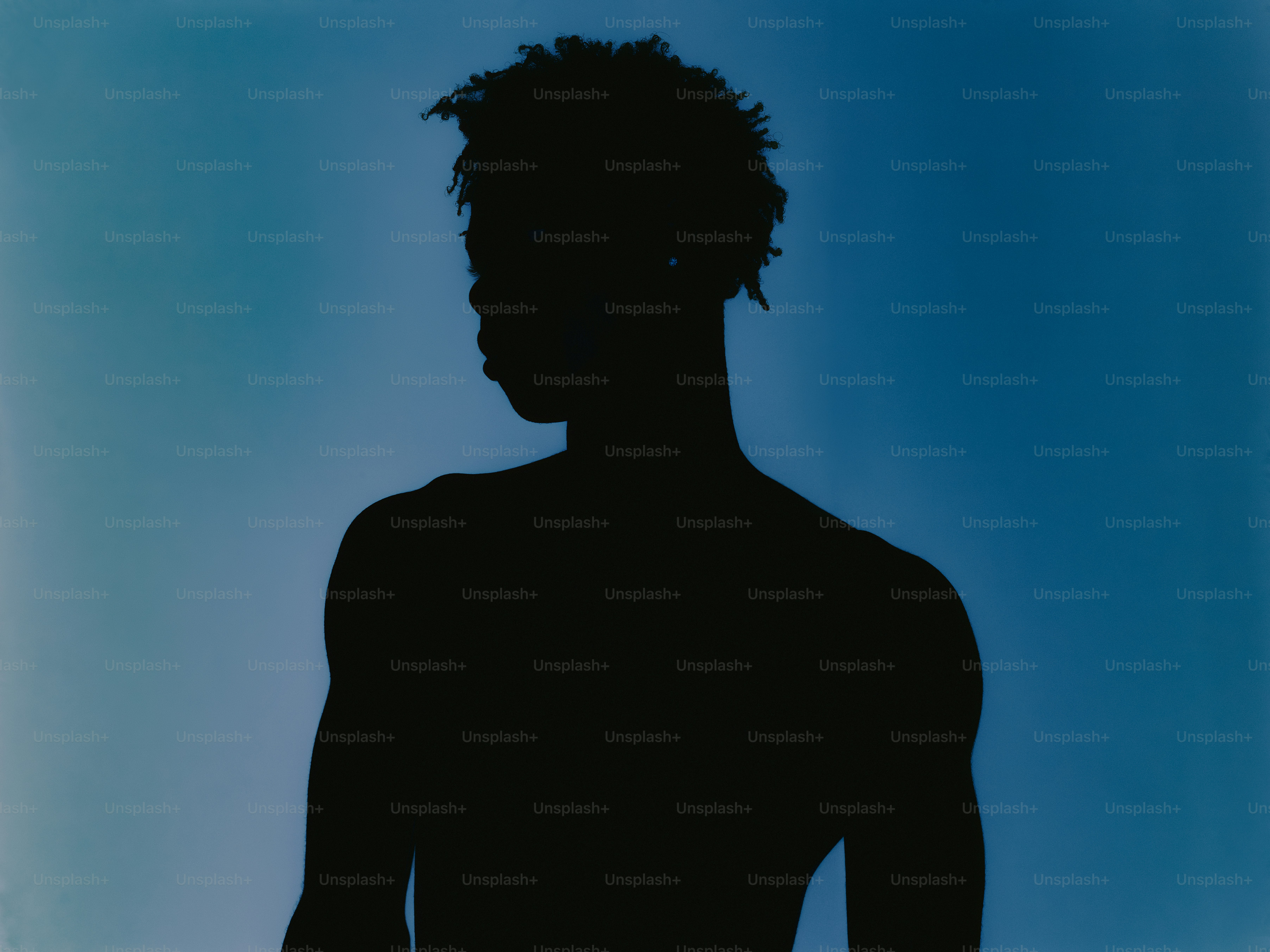 Silhouette of a man against a blue background photo – Portrait Image on ...