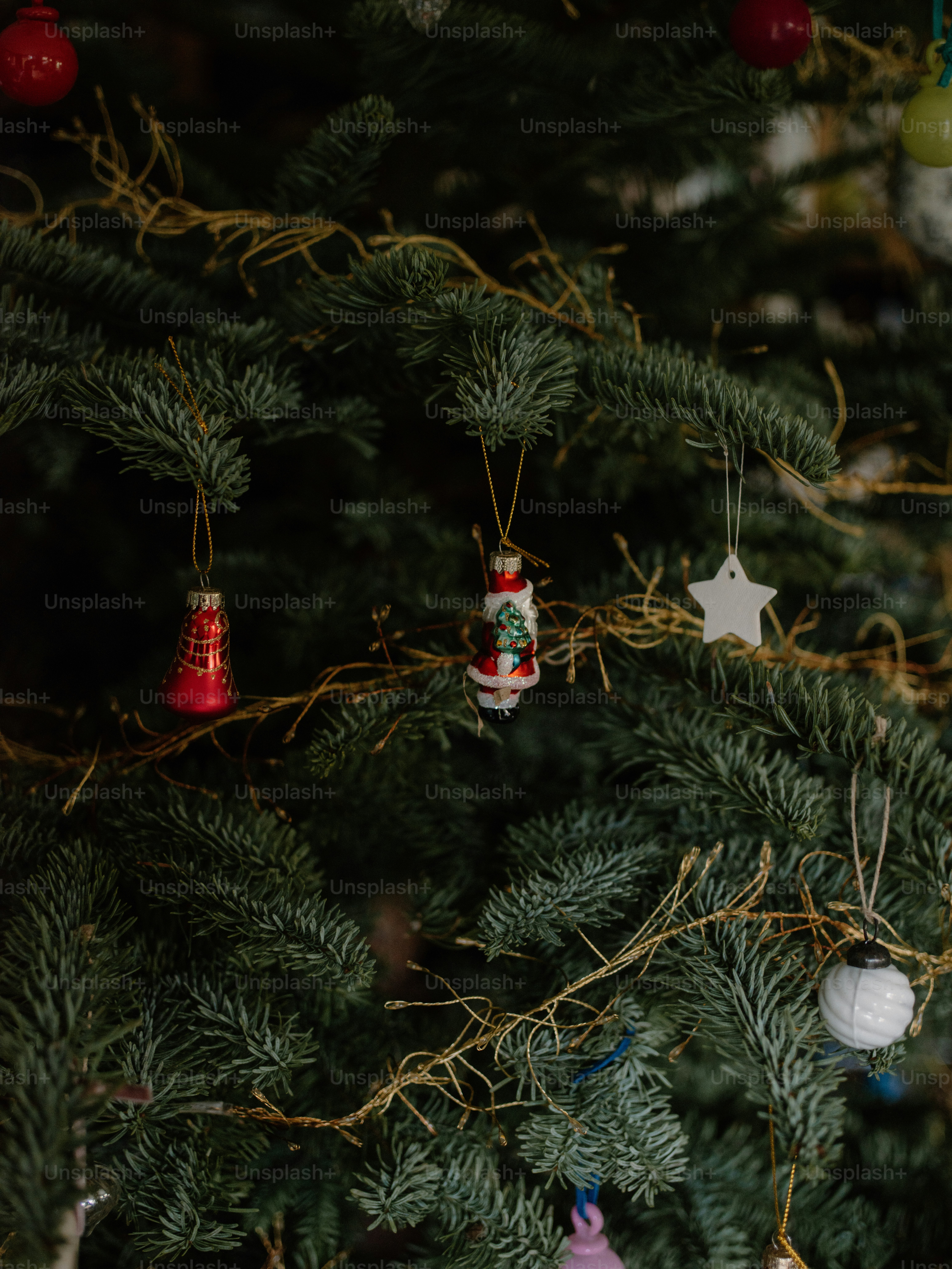 P foto – Imagen de Navidad en Unsplash