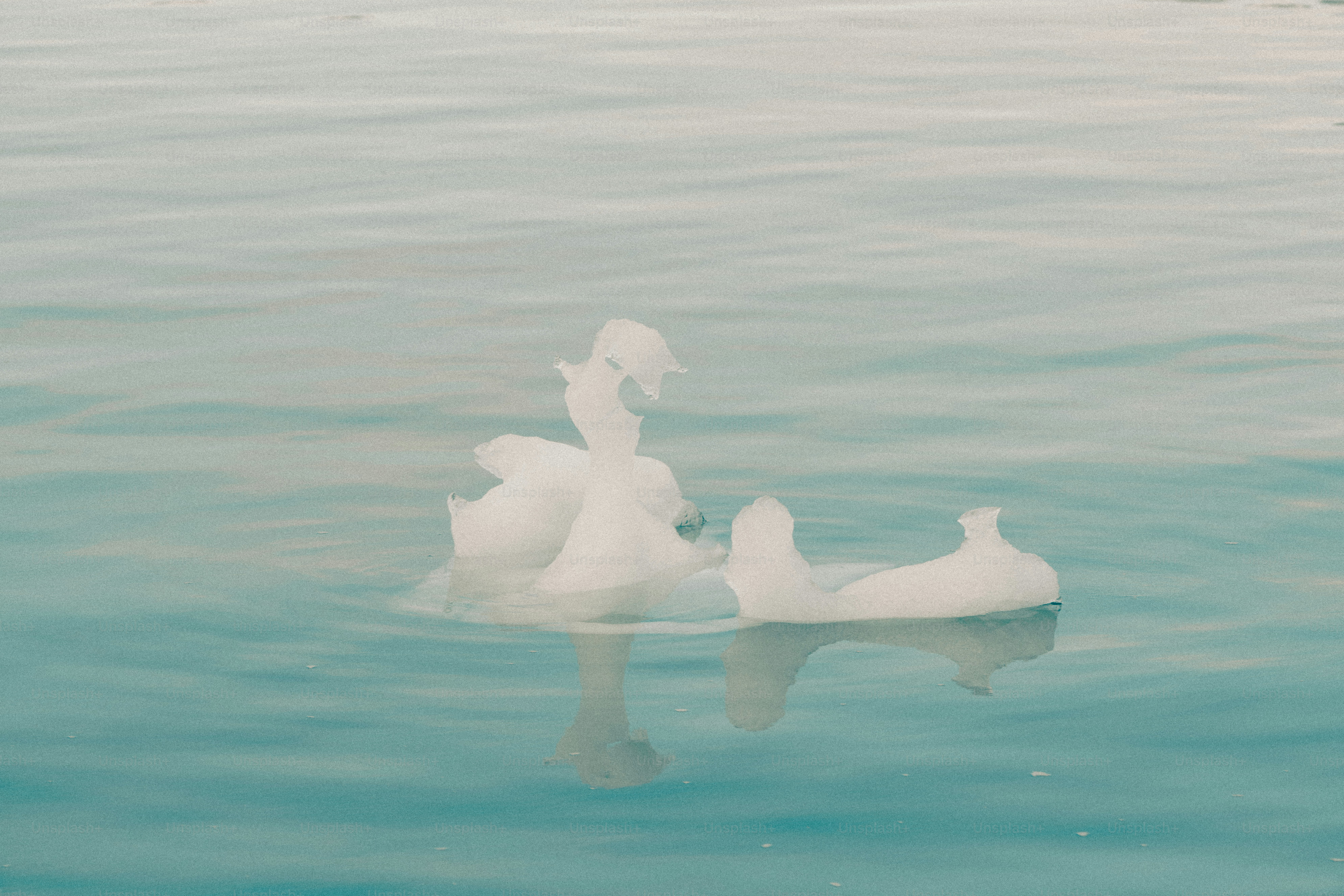 A small iceberg floats in calm blue water photo – Winter Image on Unsplash
