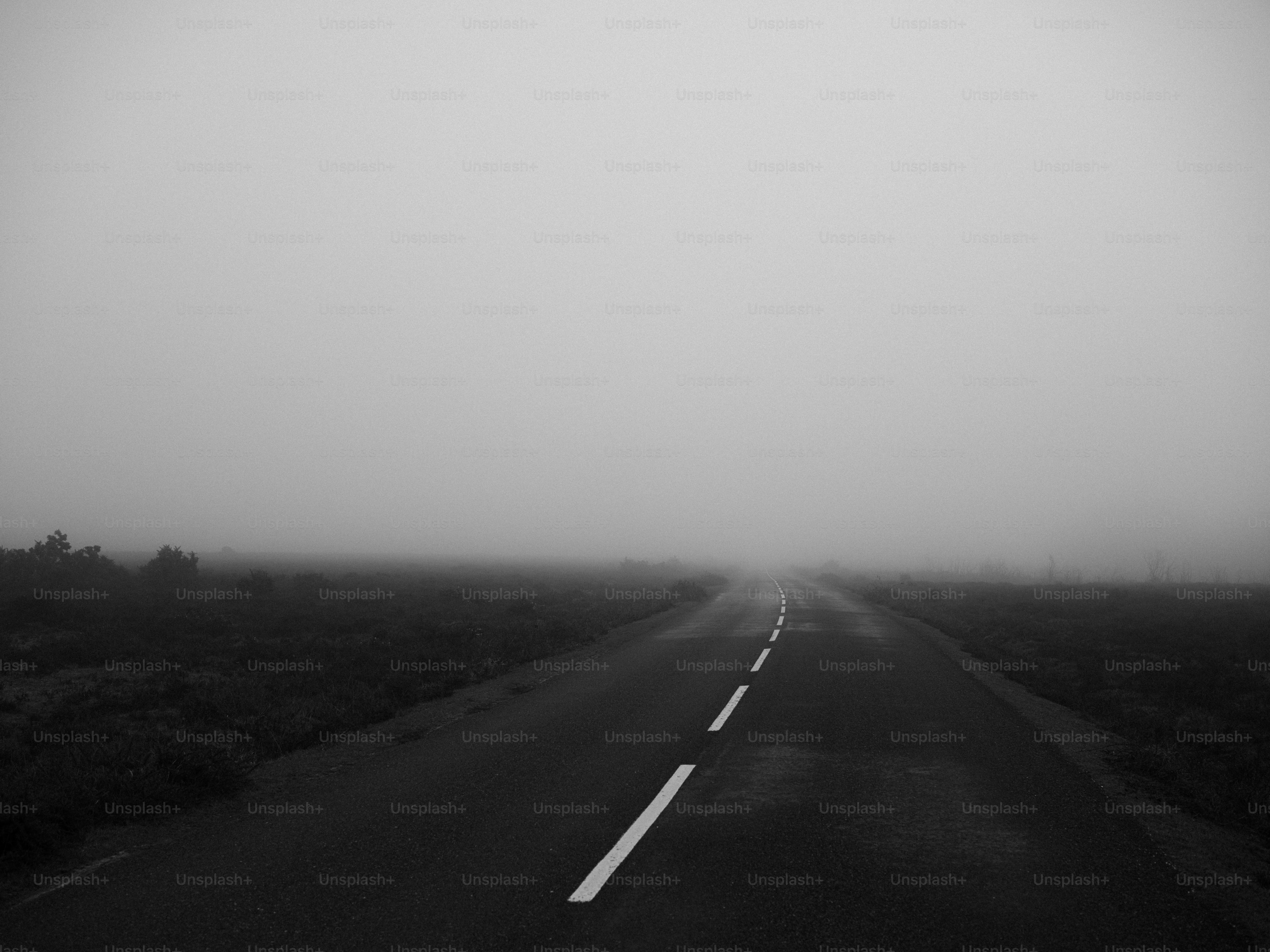 A foggy road through a dark, desolate landscape. photo – Travel Image ...