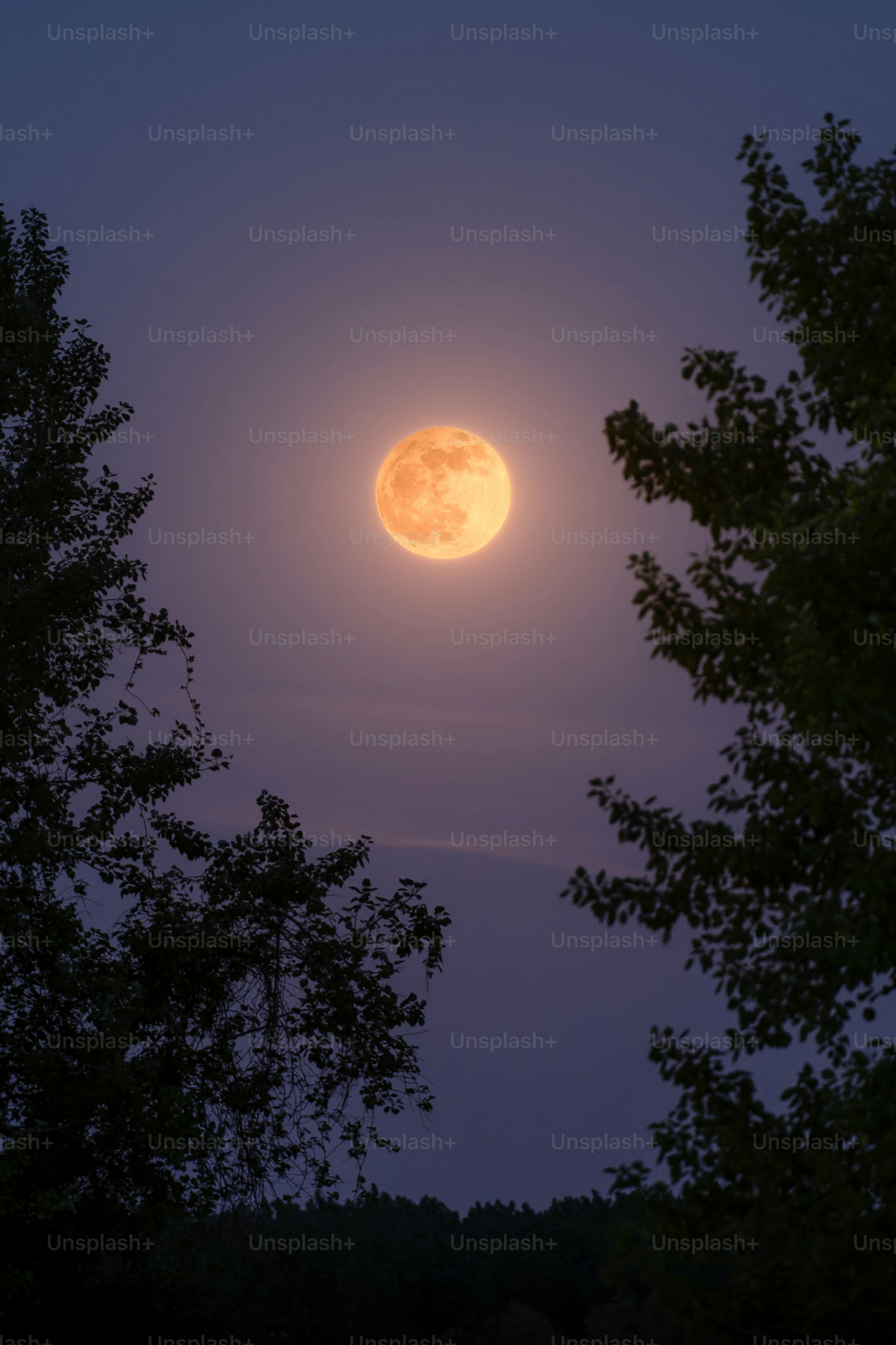Full moon shining through dark clouds photo – Space Image on Unsplash