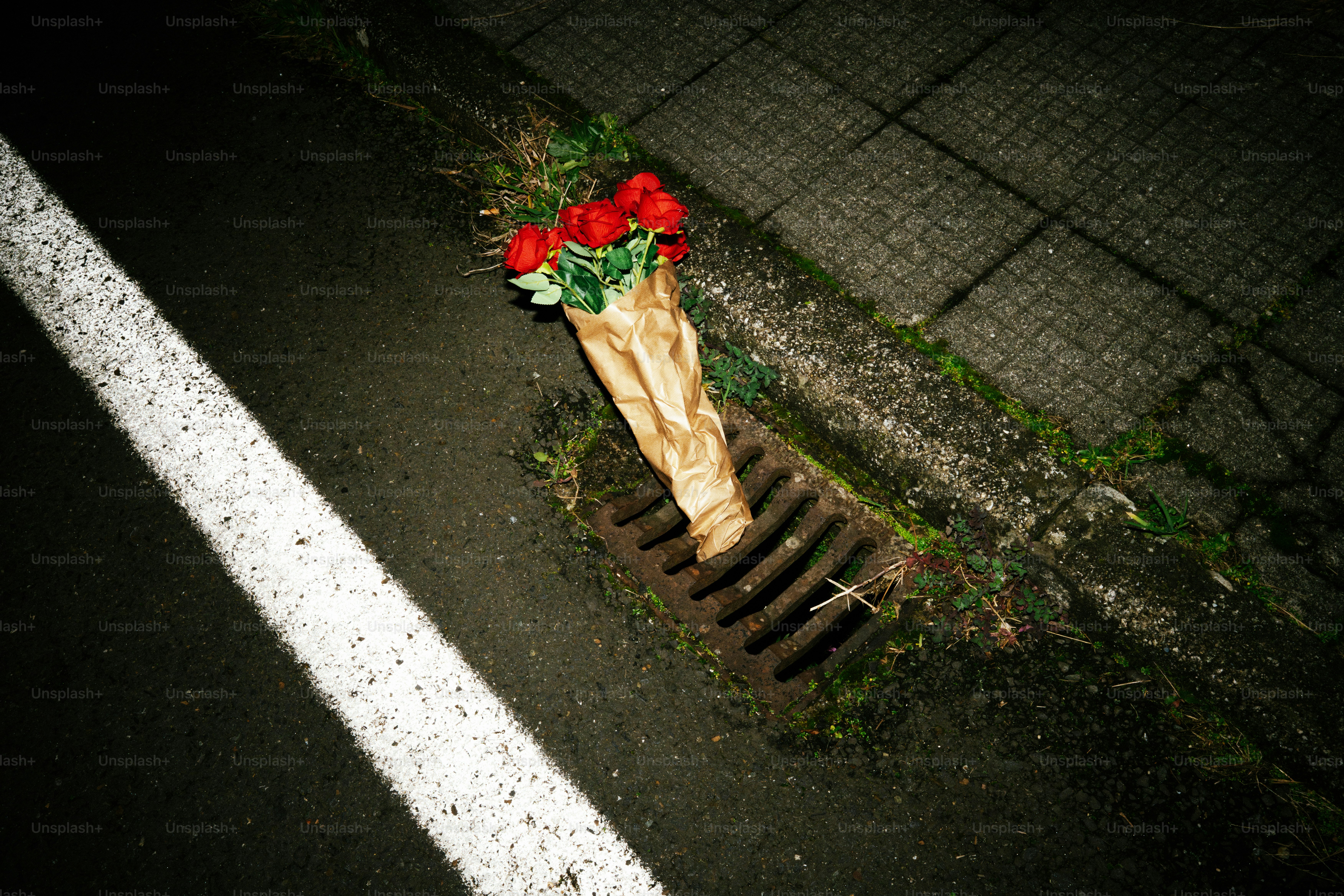 Rosas rojas esparcidas sobre asfalto con una línea blanca. foto ...