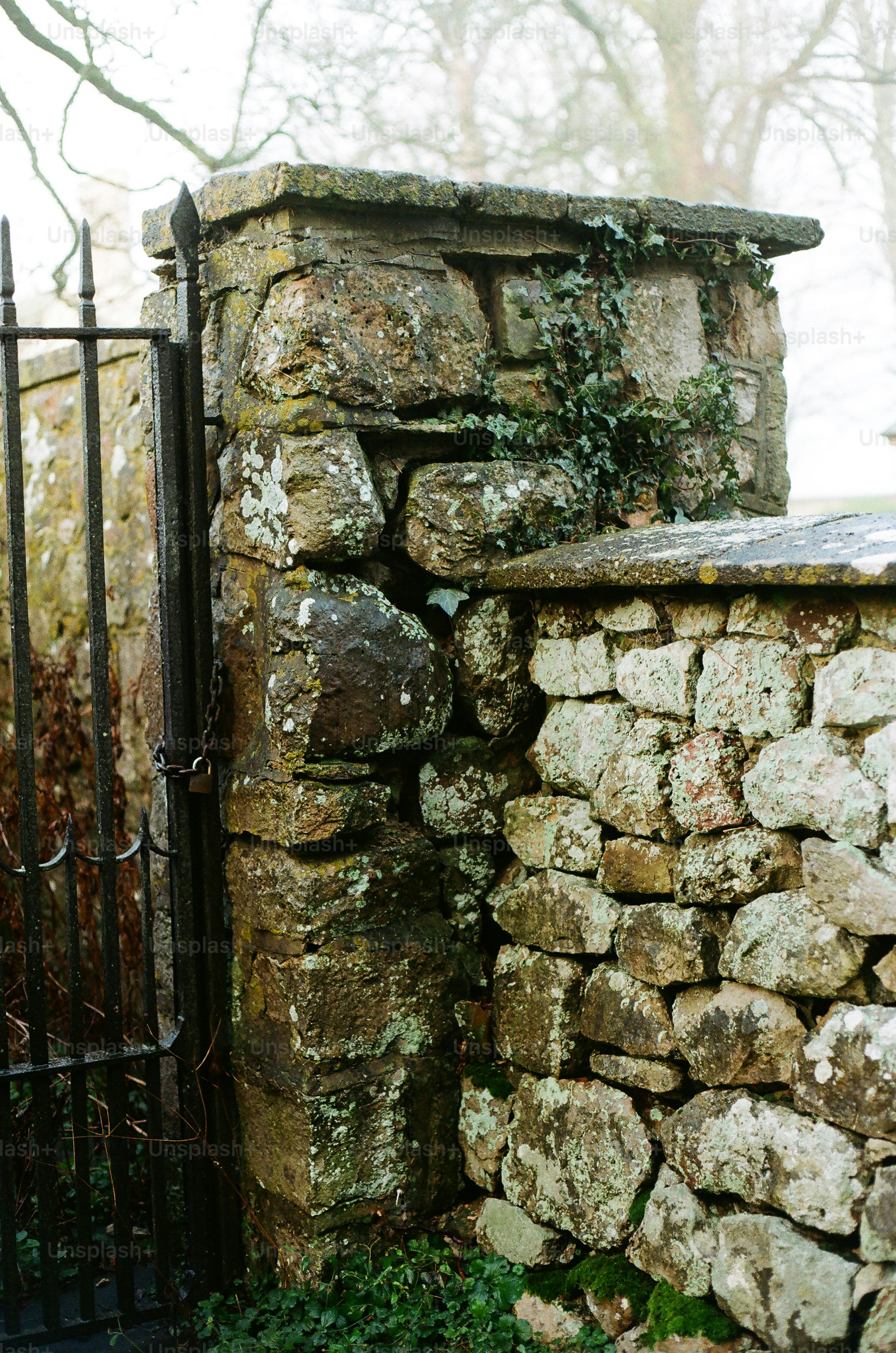 Antiguo muro de piedra con una verja metálica y hiedra foto – Imagen de ...