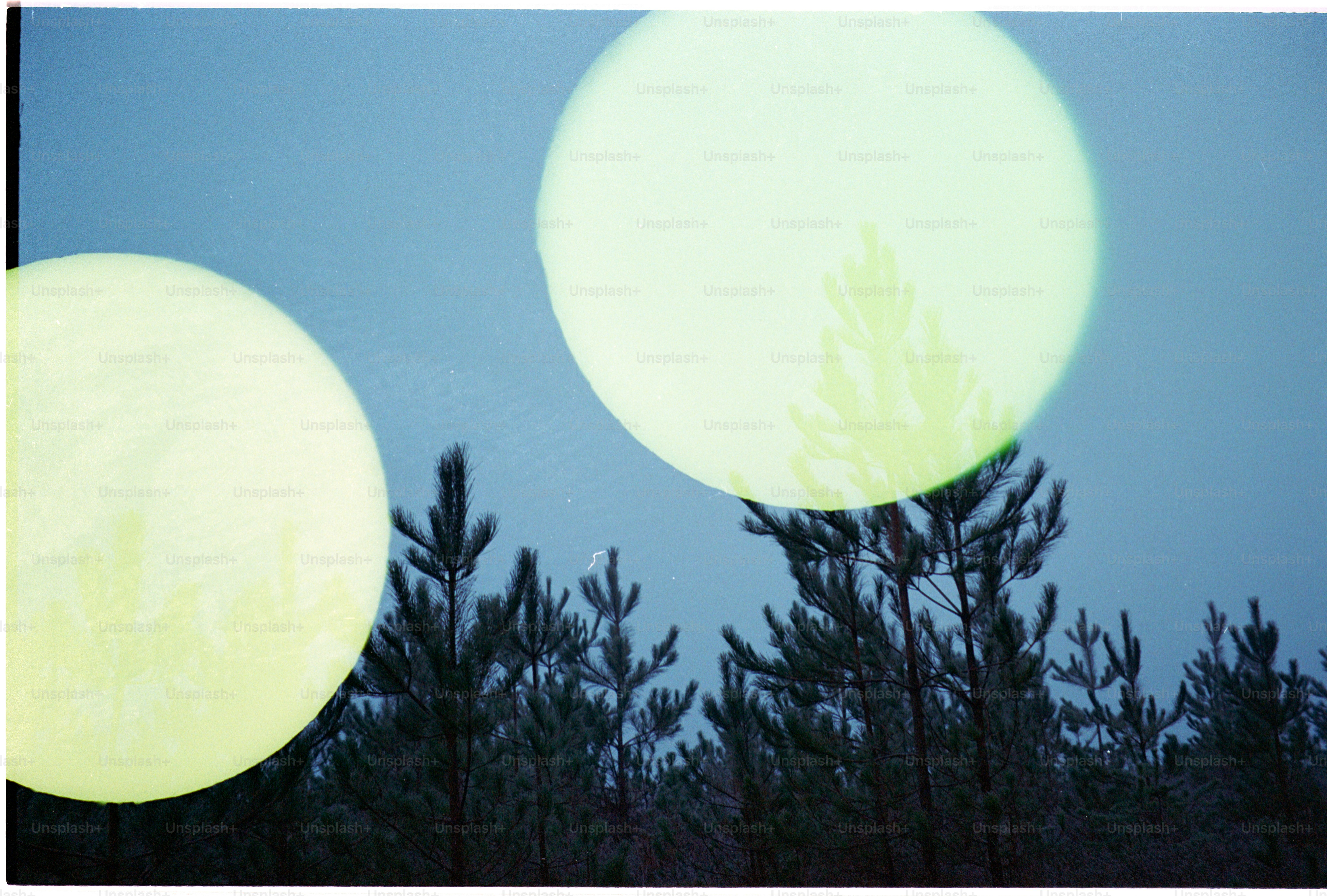Two glowing orbs float above dark pine trees photo – Abstract Image on ...