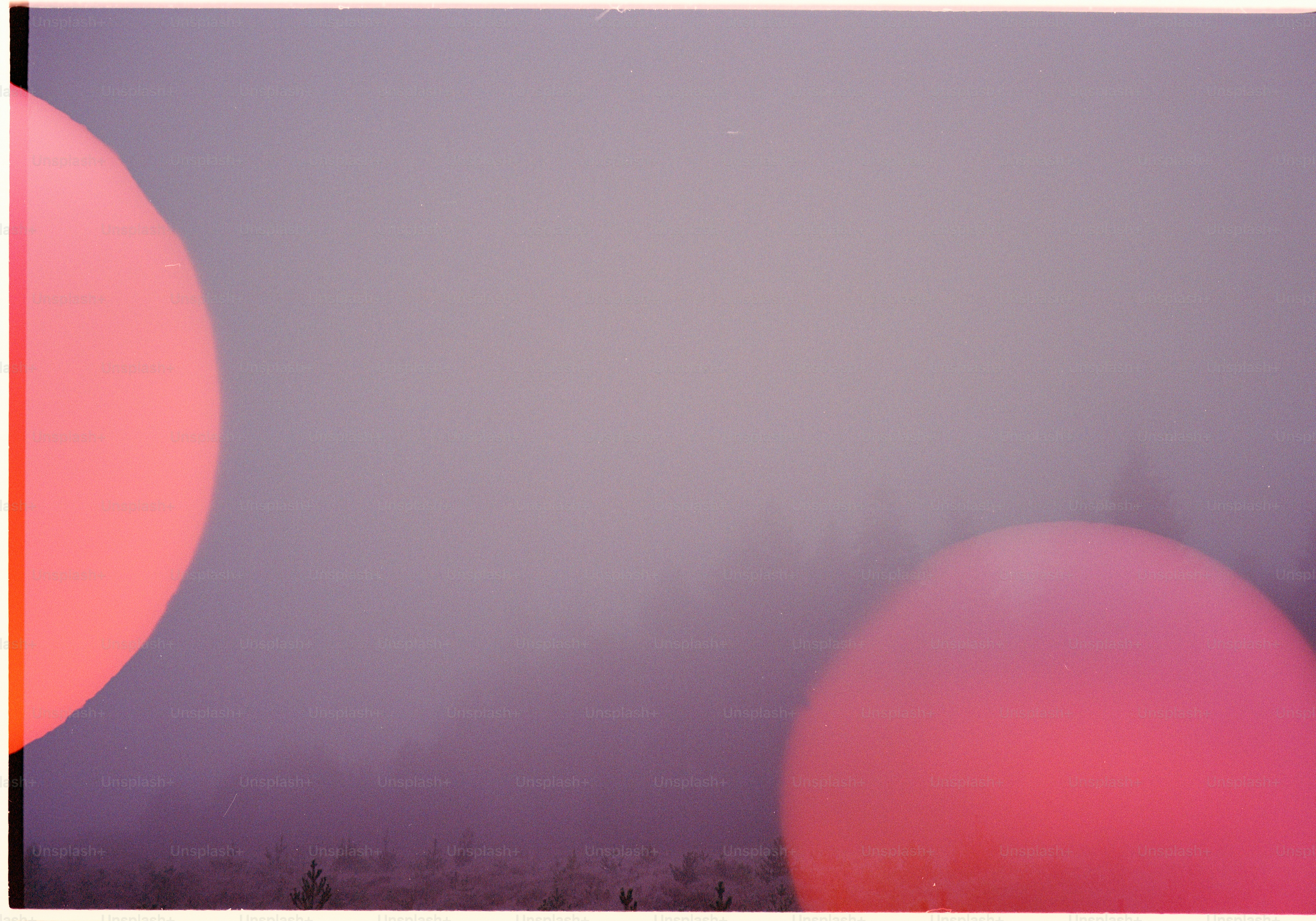 Pink sun setting over a misty forest landscape photo – Wallpapers Image ...