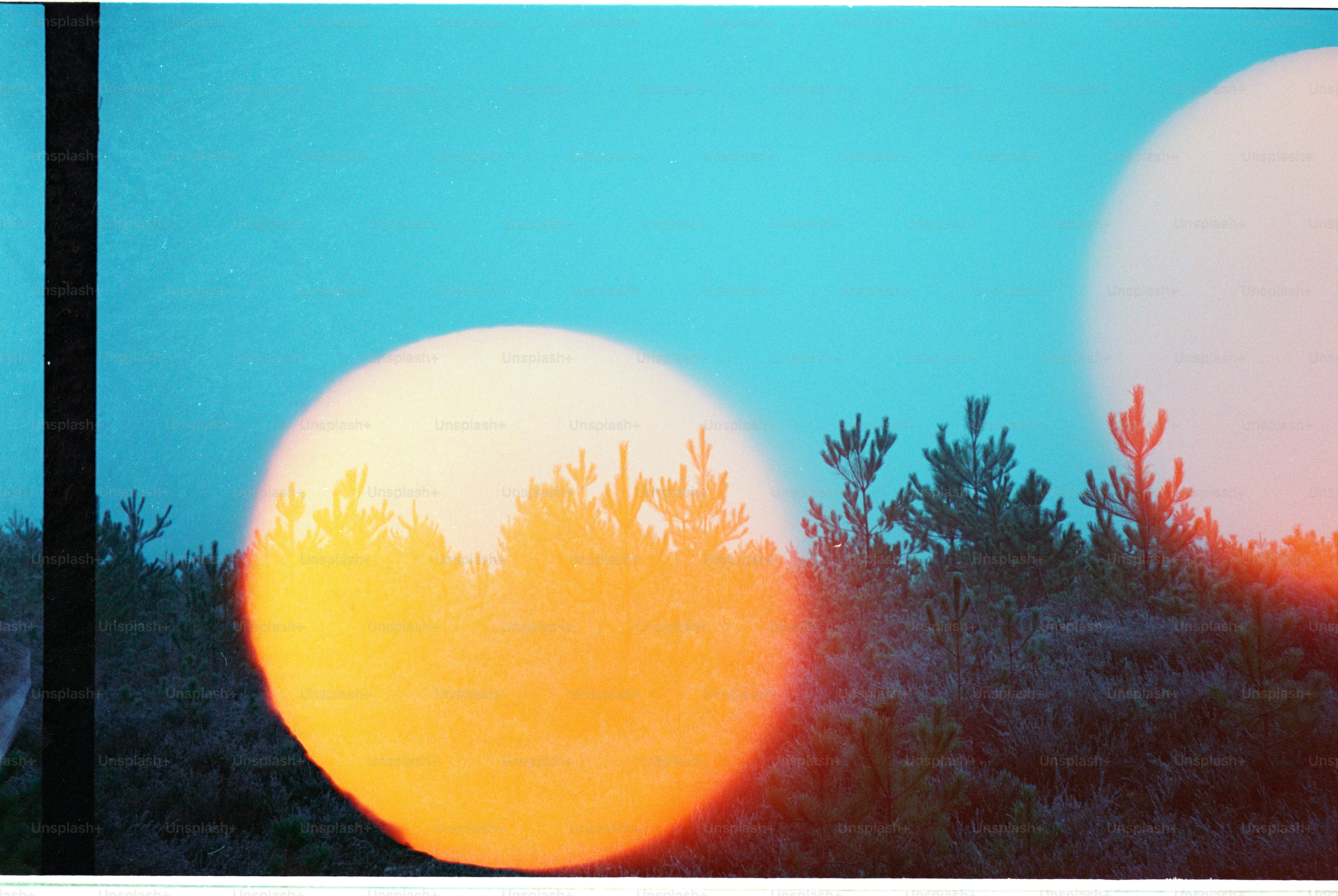 Pink sun setting over a misty forest landscape photo – Wallpapers Image ...