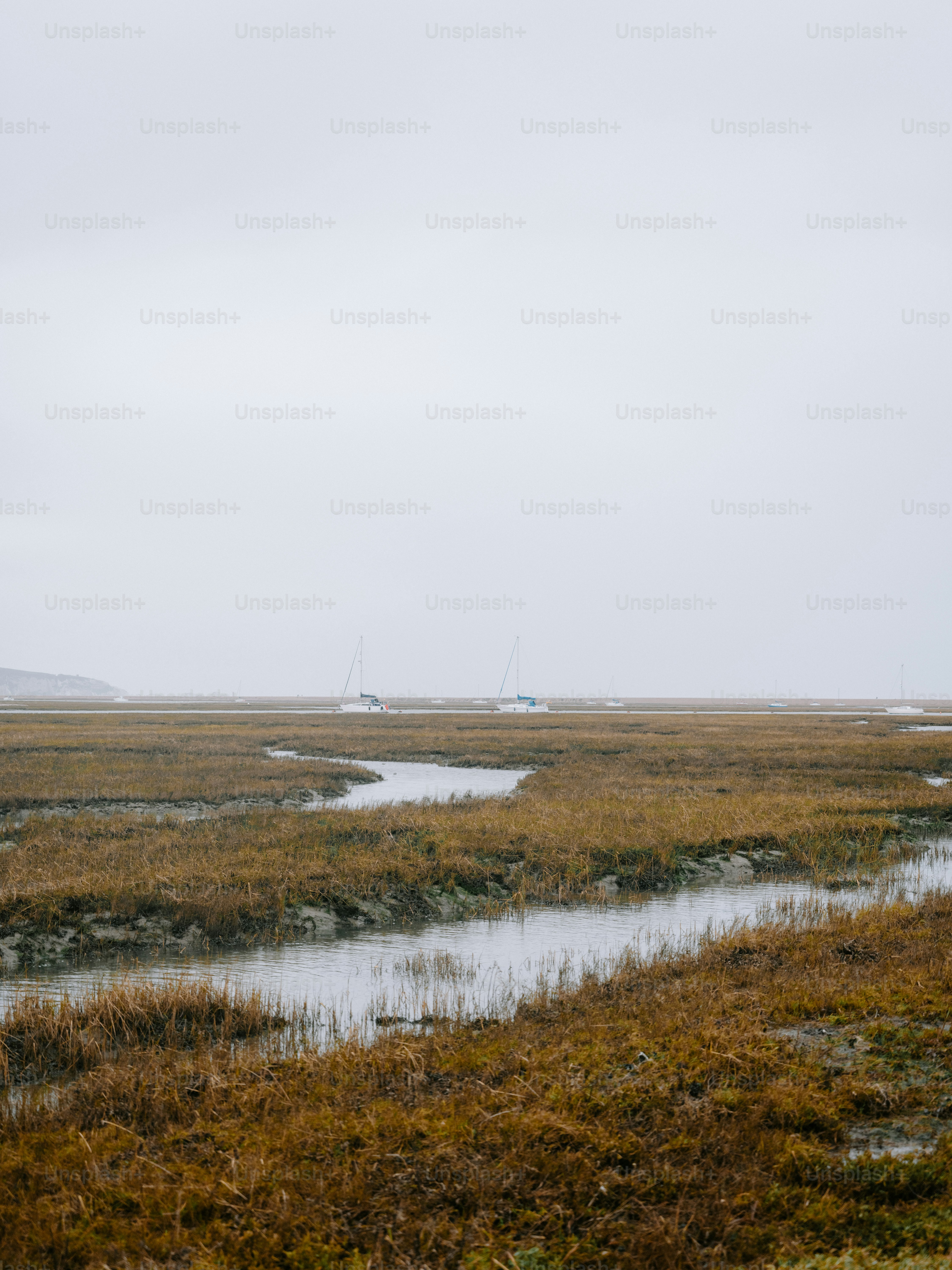 Brown marsh grass with a winding stream and distant boats photo ...