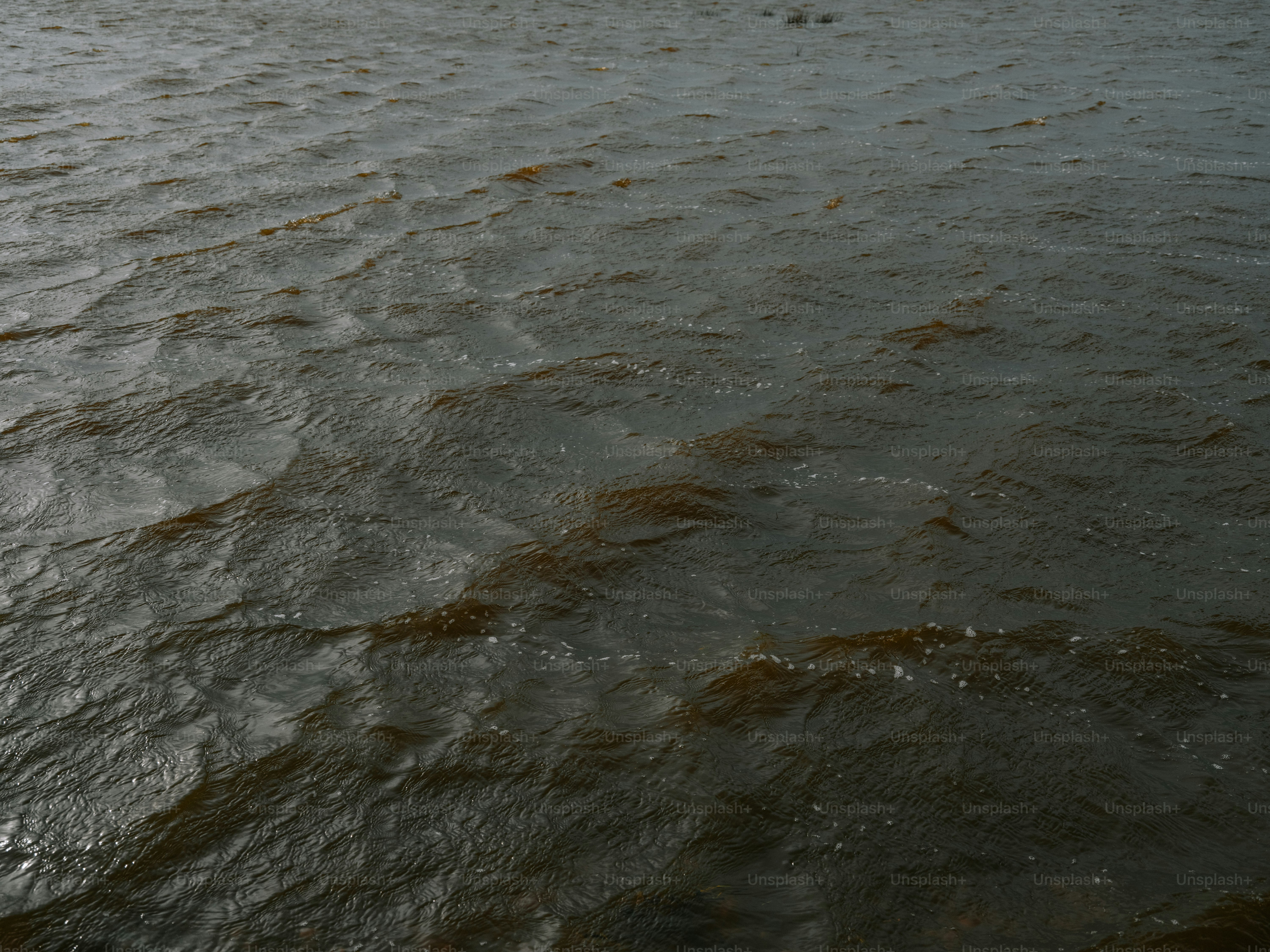 Dark water surface with gentle ripples and foam photo – Sea Image on Unsplash