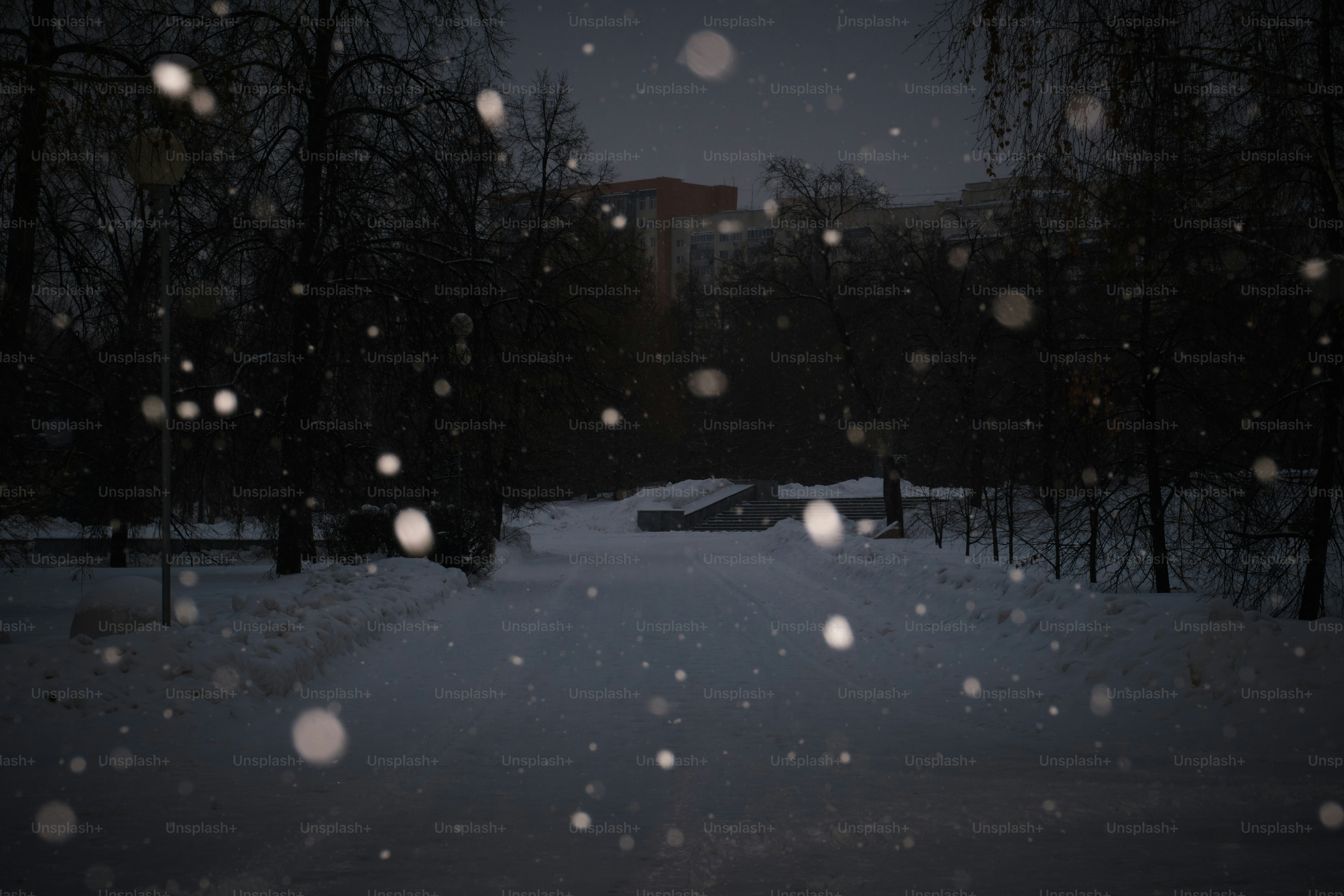 Snow falling in a dark park at dusk photo – Dark Image on Unsplash