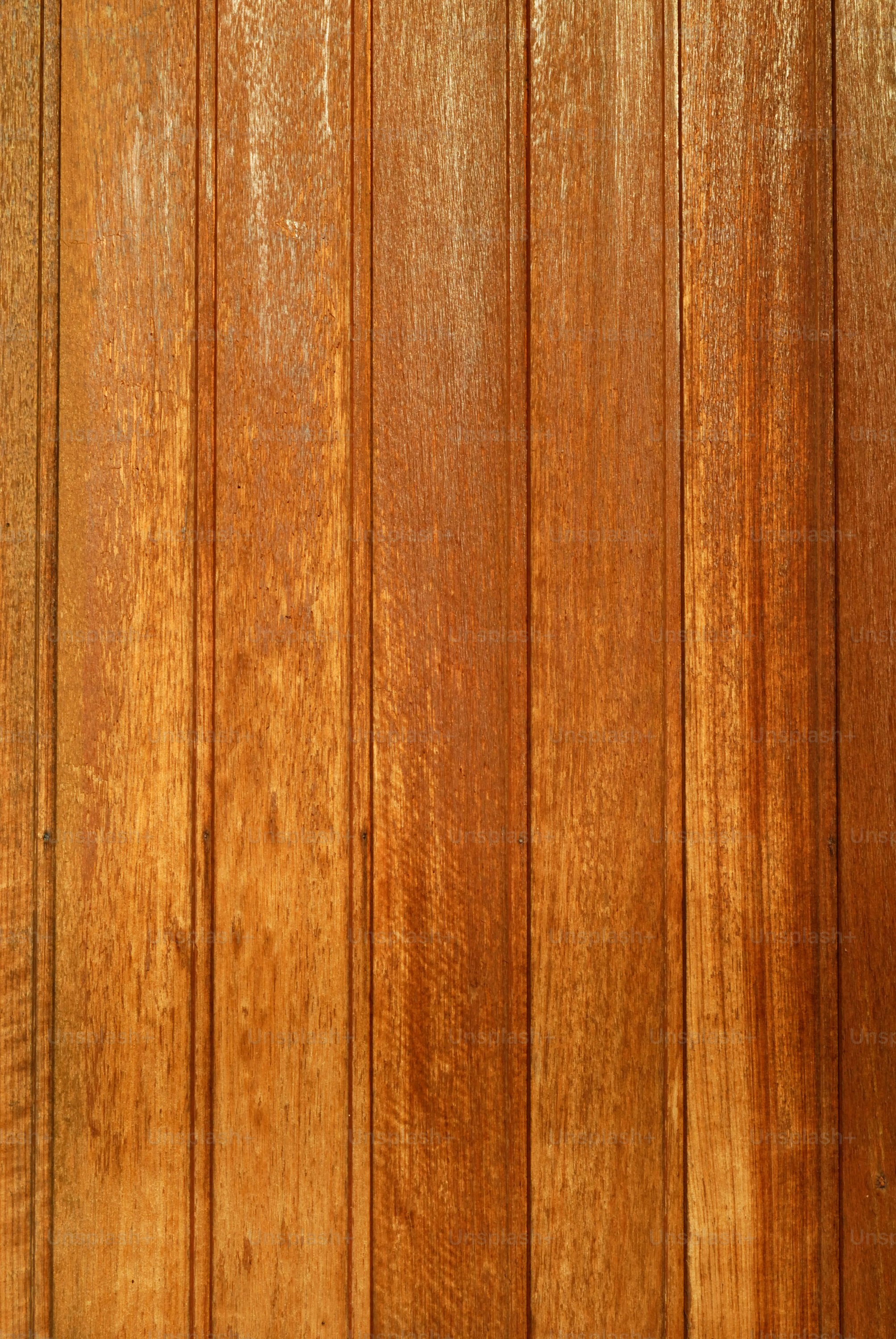 Wooden Background Series; Weathered planks in the early morning light ...