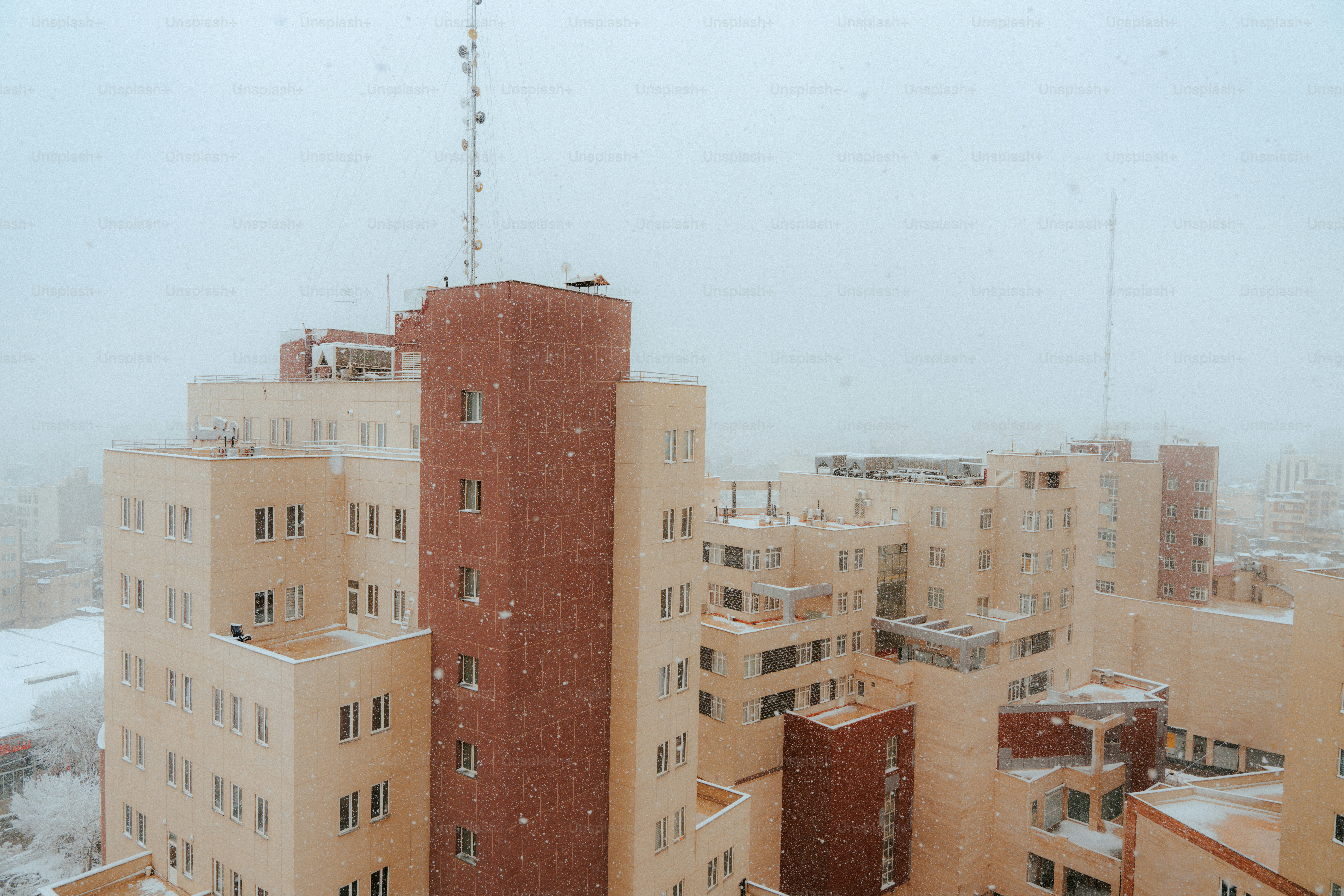 Buildings covered in snow during a blizzard photo – Architecture Image ...