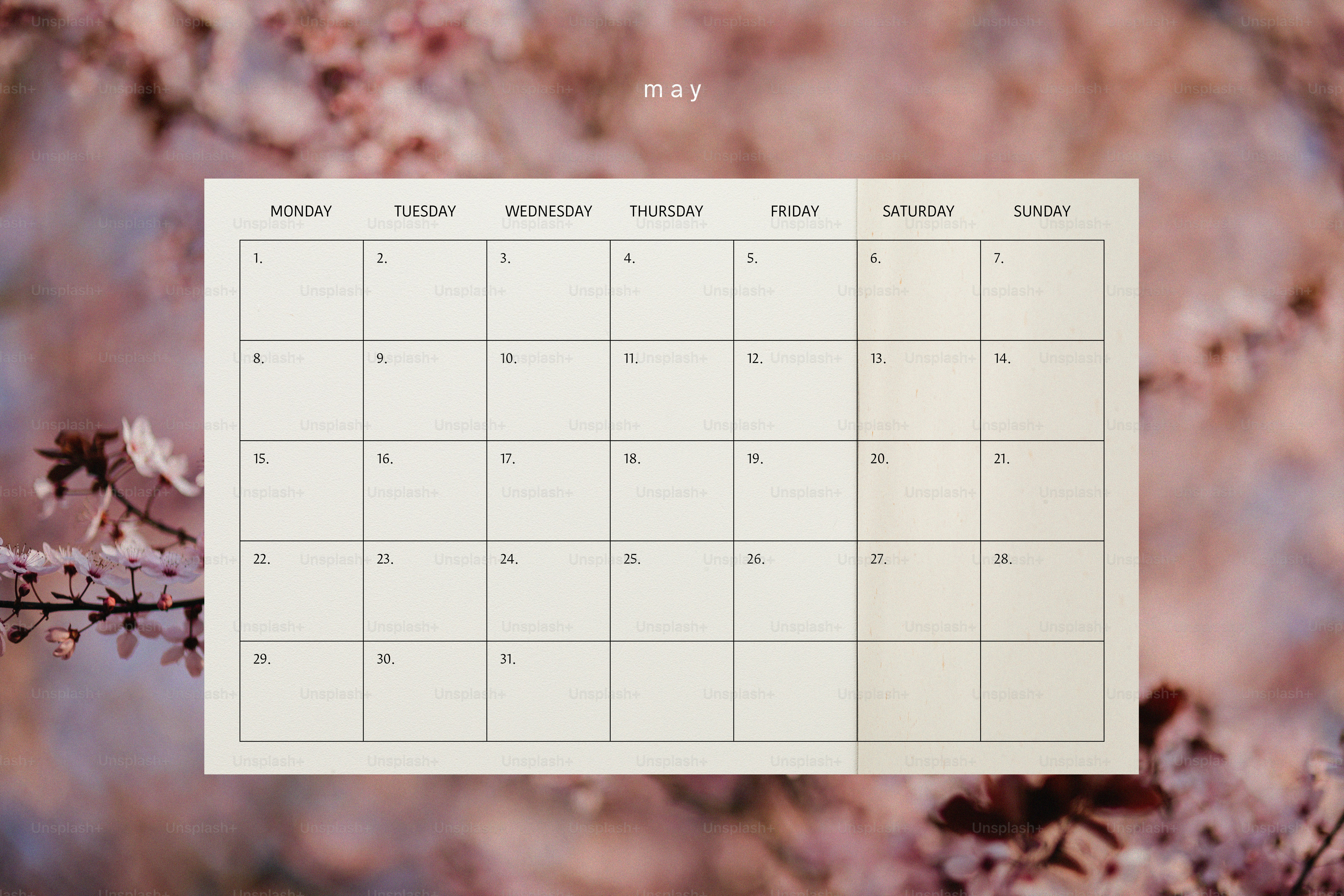 Blank calendar page on floral background photo – Spring Image on Unsplash
