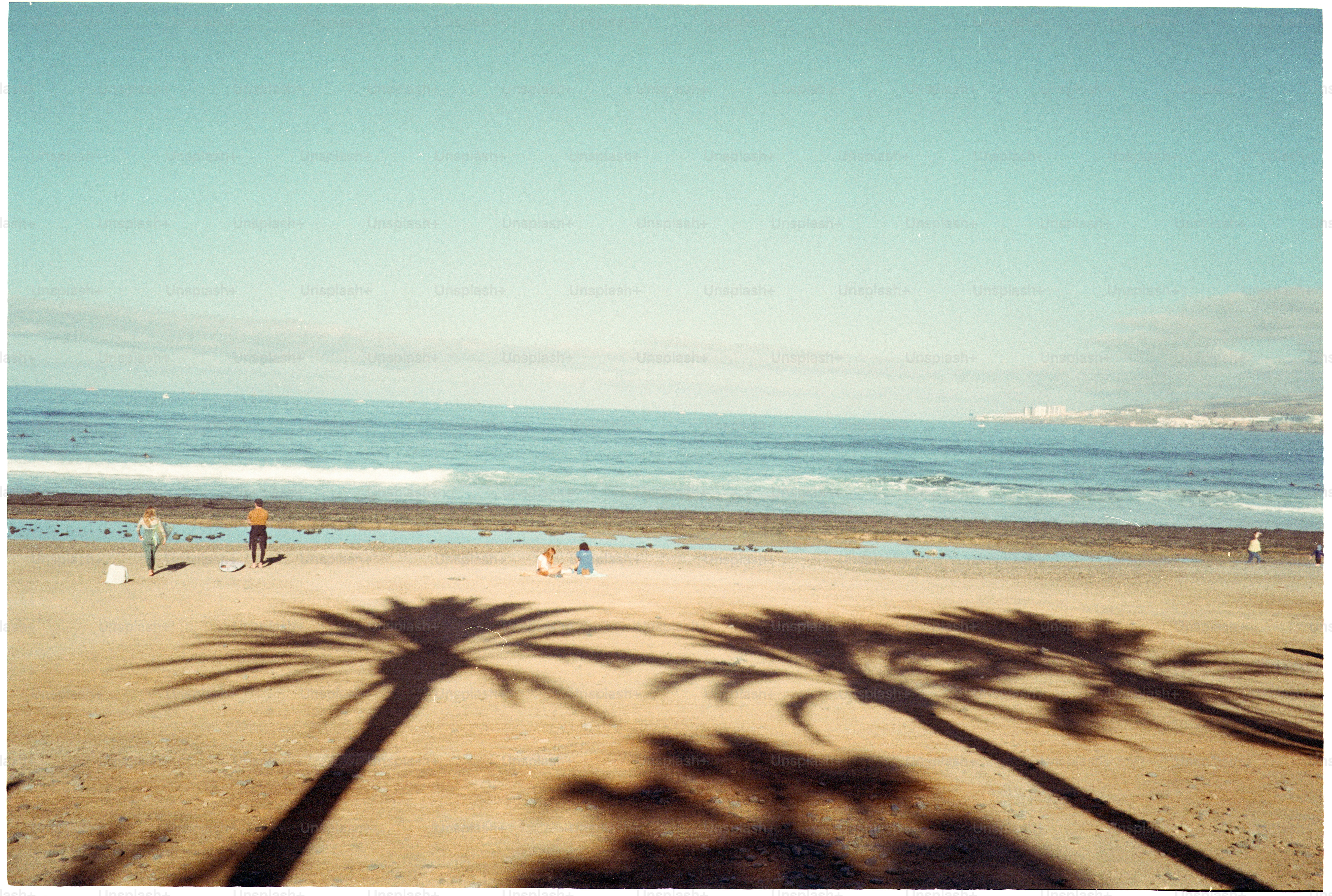 Palm tree shadows on a sunny beach with ocean waves photo – Beach Image ...