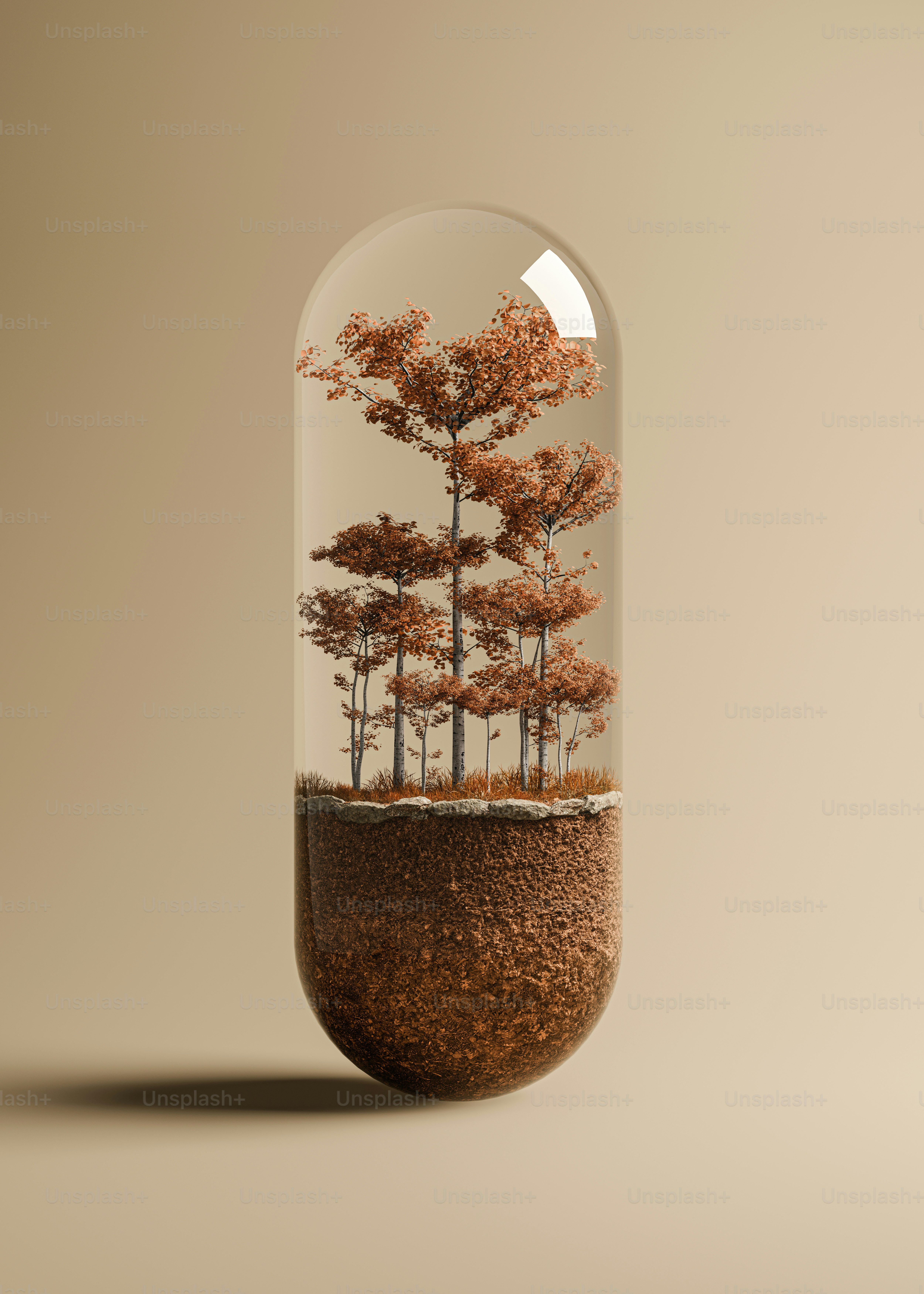 A miniature forest ecosystem inside a transparent capsule. photo ...