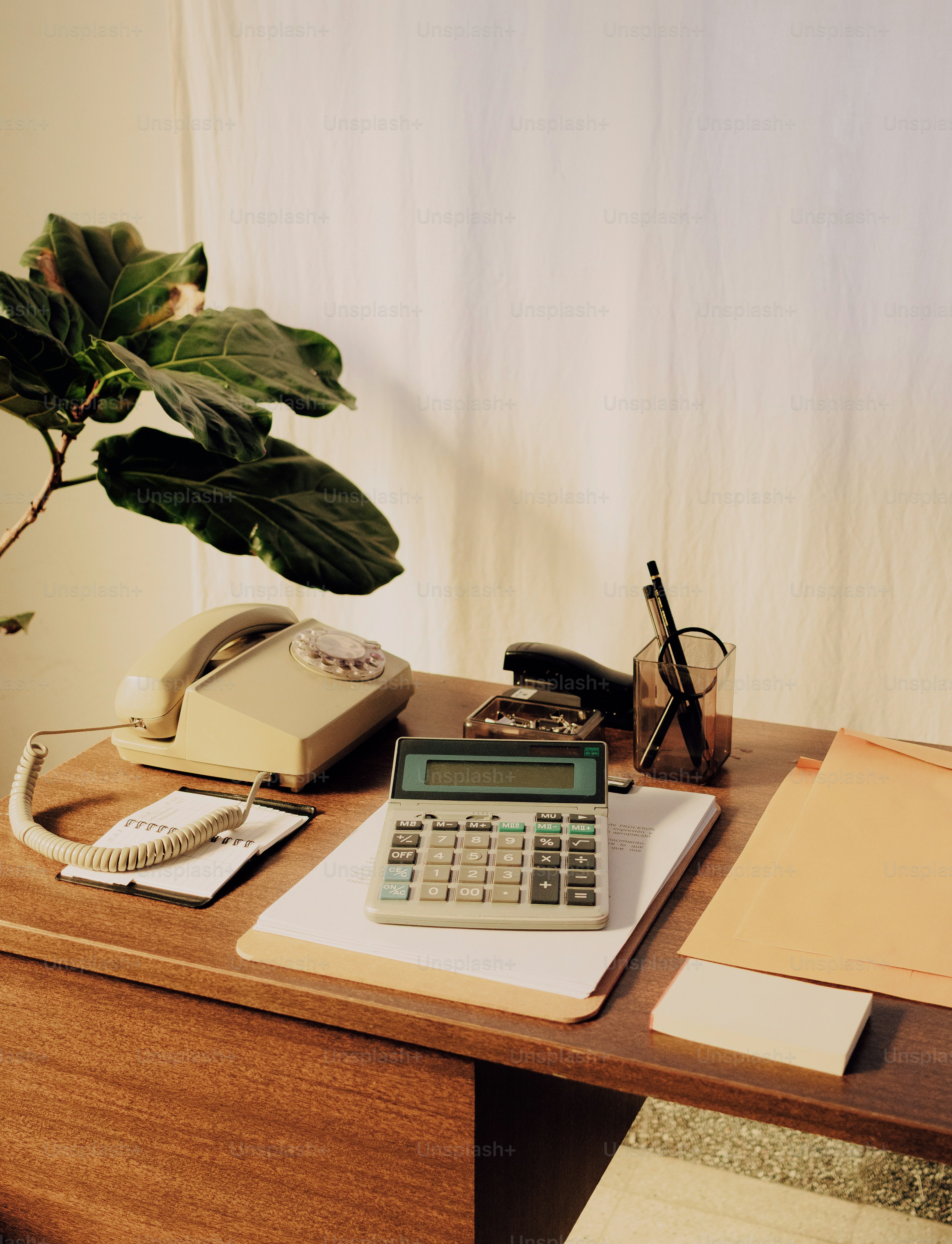 Desk with envelope, tape, and plant photo – Still life Image on Unsplash