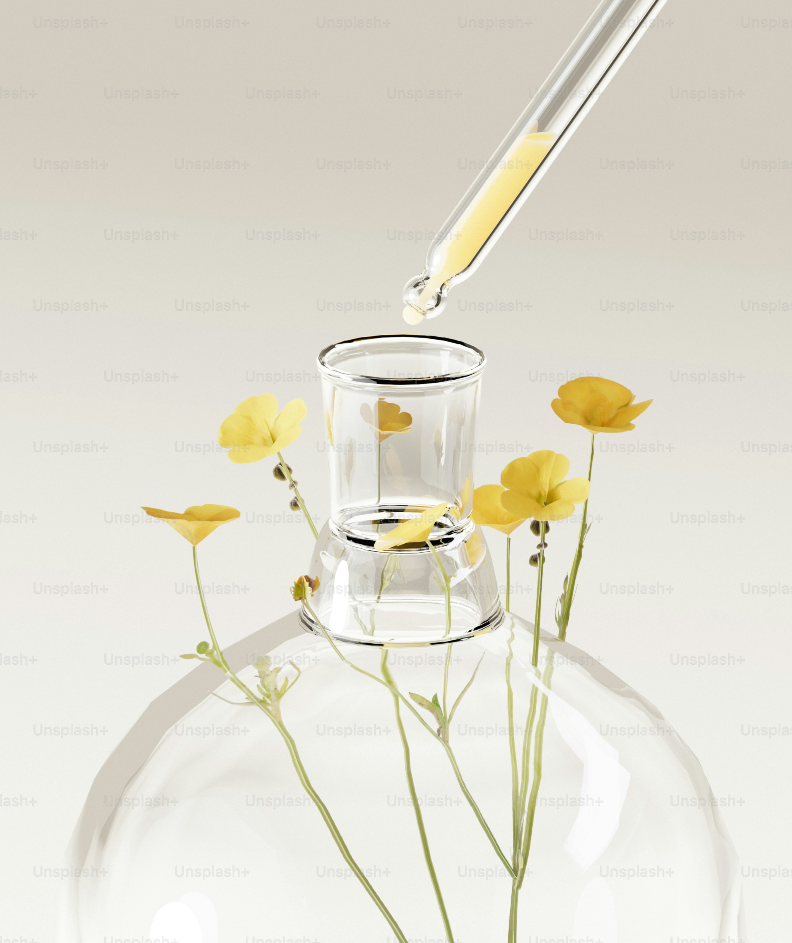 Two red-stemmed plants in a beaker with pink liquid. photo – Flower ...
