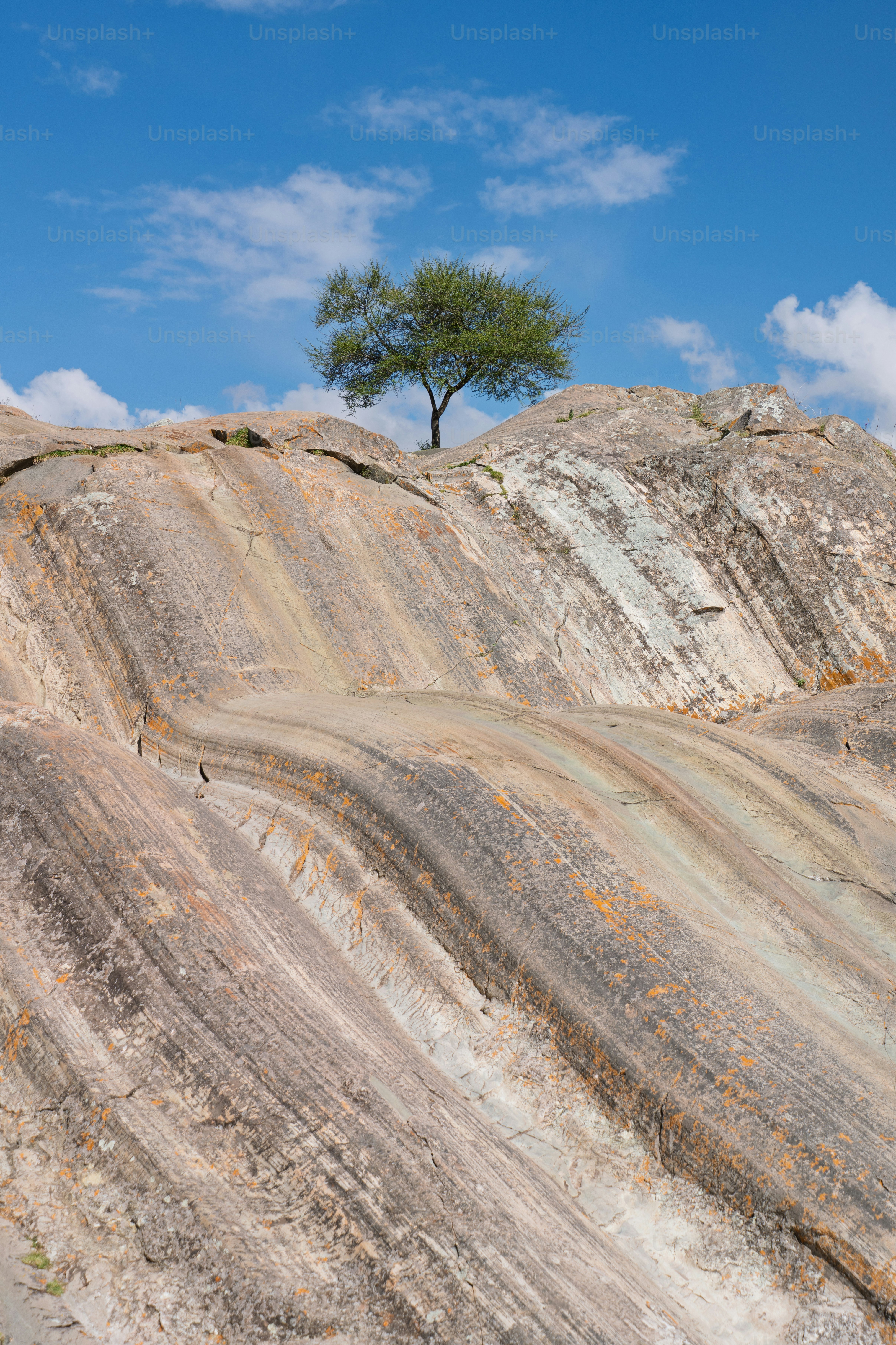 Colorful layered rock formation with a distinct v-shape. photo – Rock ...