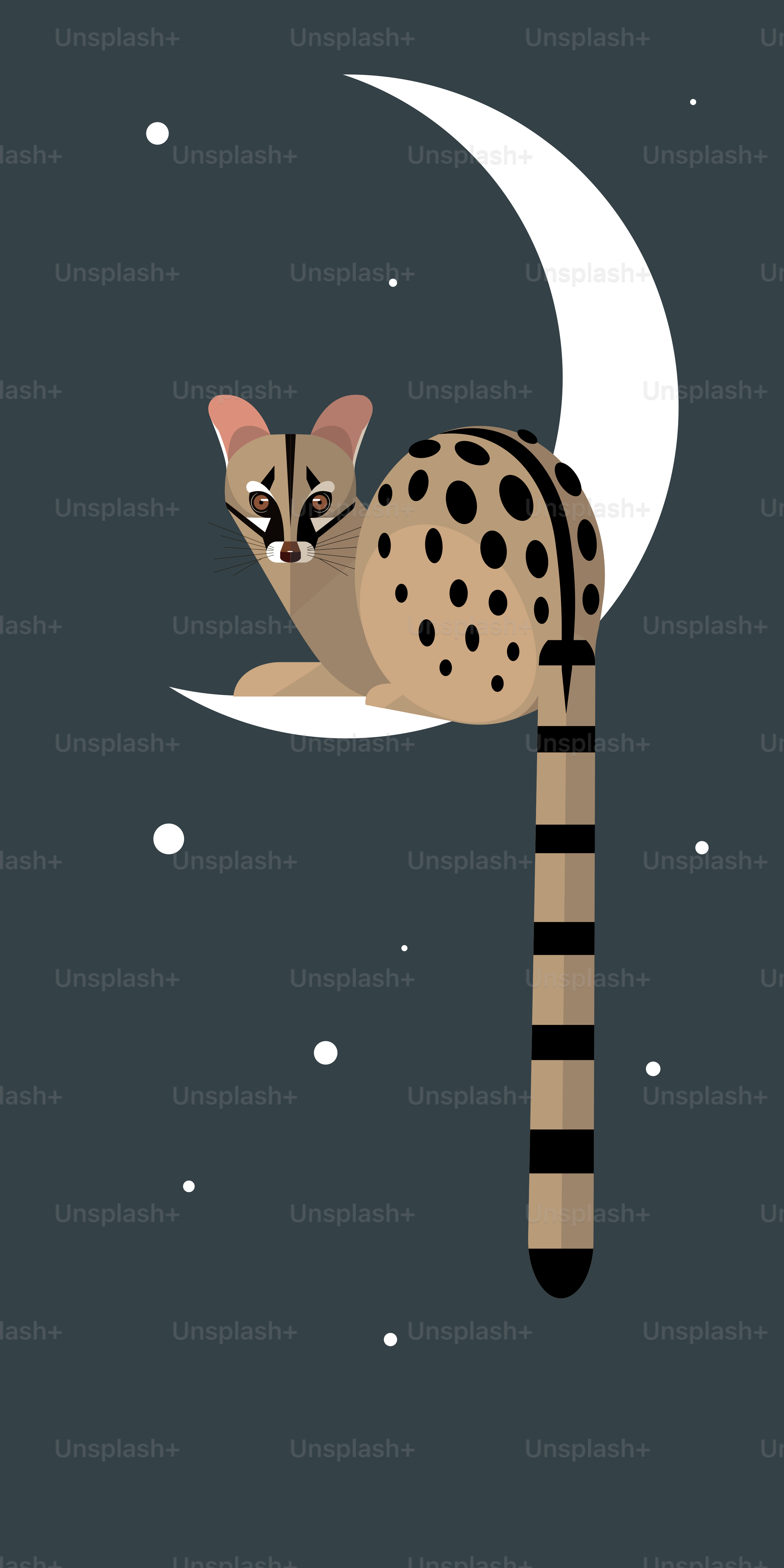 Geneta는 야행성이며 달밤에 사냥하는 것을 좋아합니다. 낮에는 무성한 꼬리로 덮인 채 잠을 잔다. 양식화된 이미지. 벡터 ...