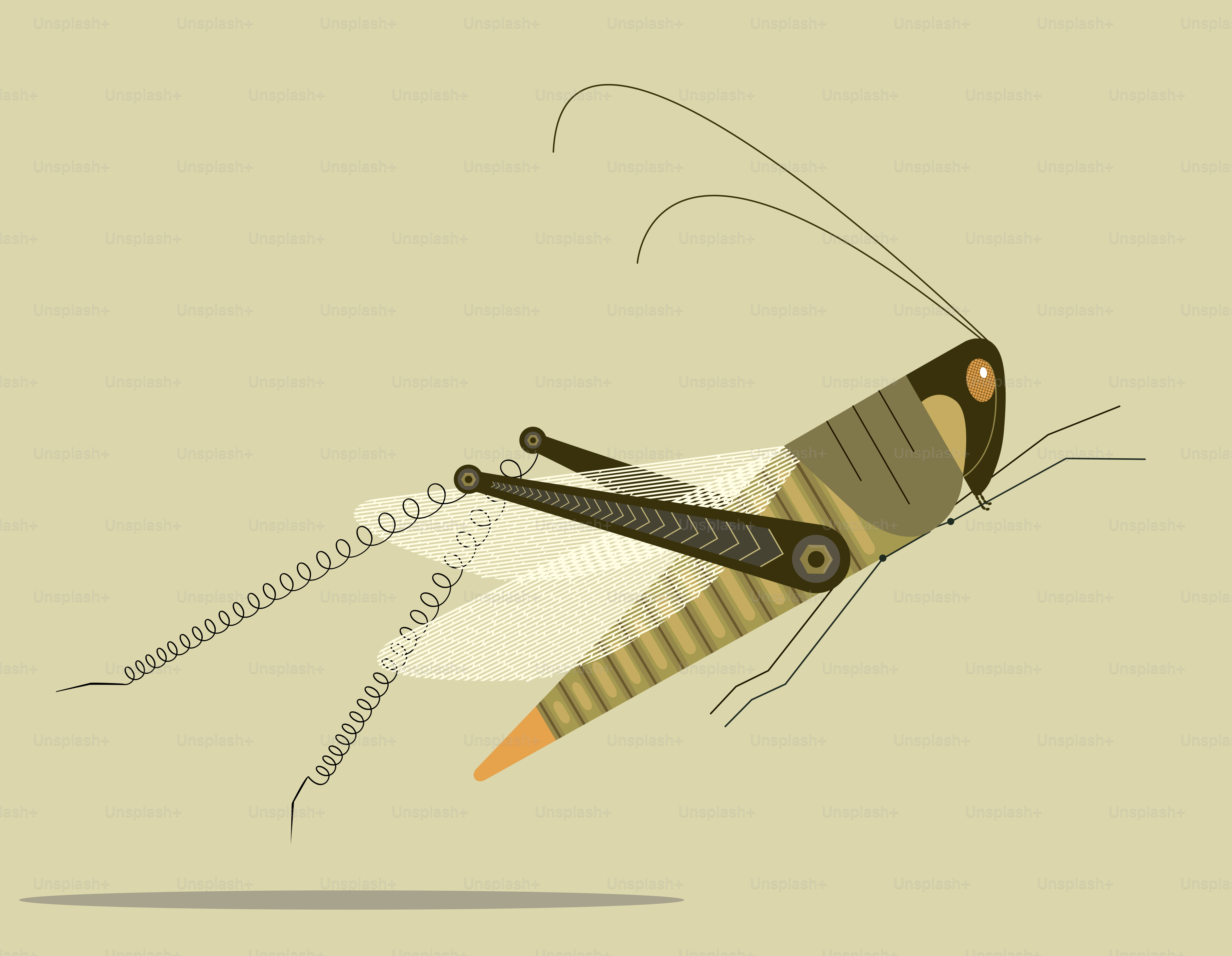 Grasshopper jump with springy hind legs on a light yellow background ...