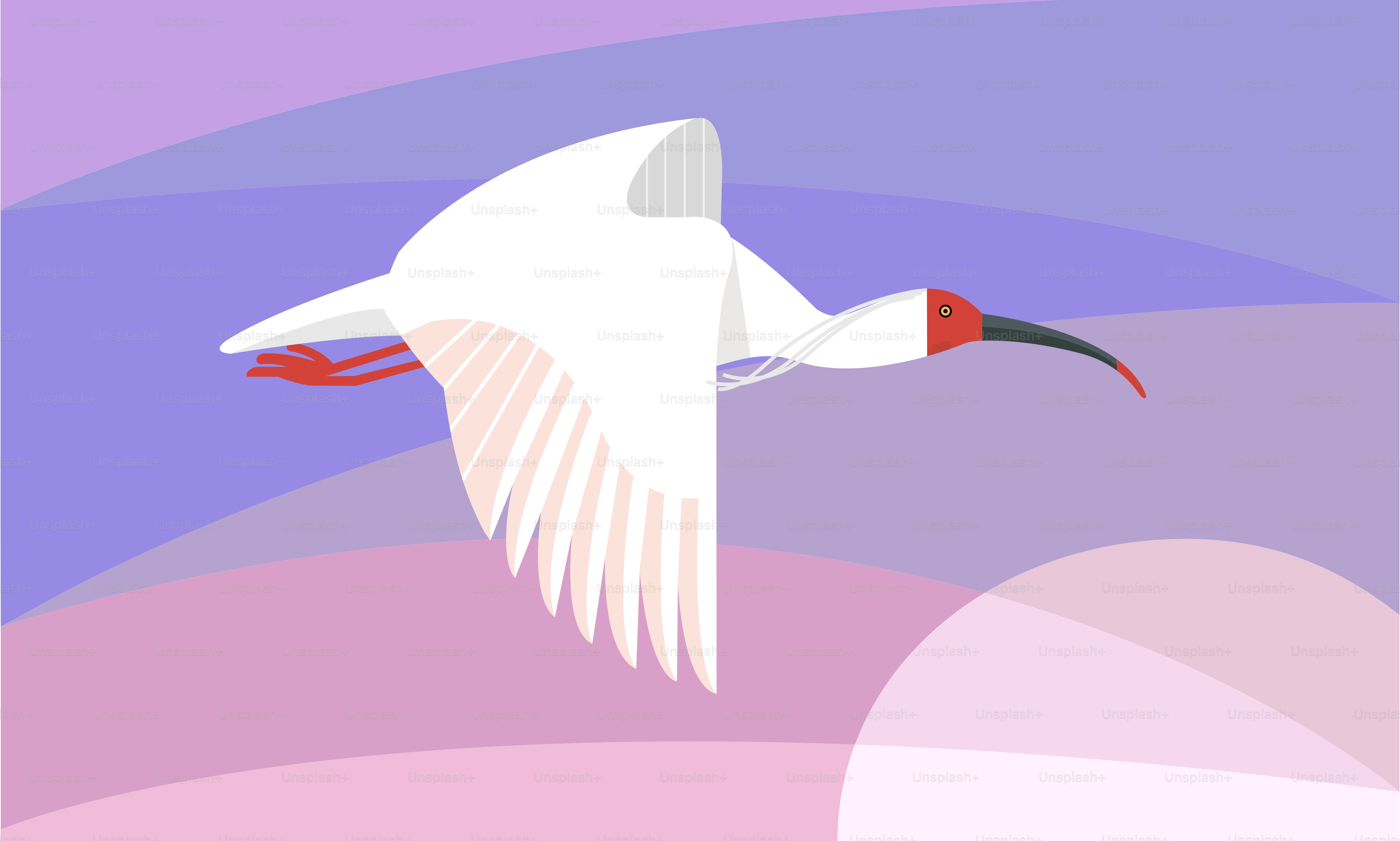 Nipponia nipon flies against the sunset sky, stylized image, vector ...