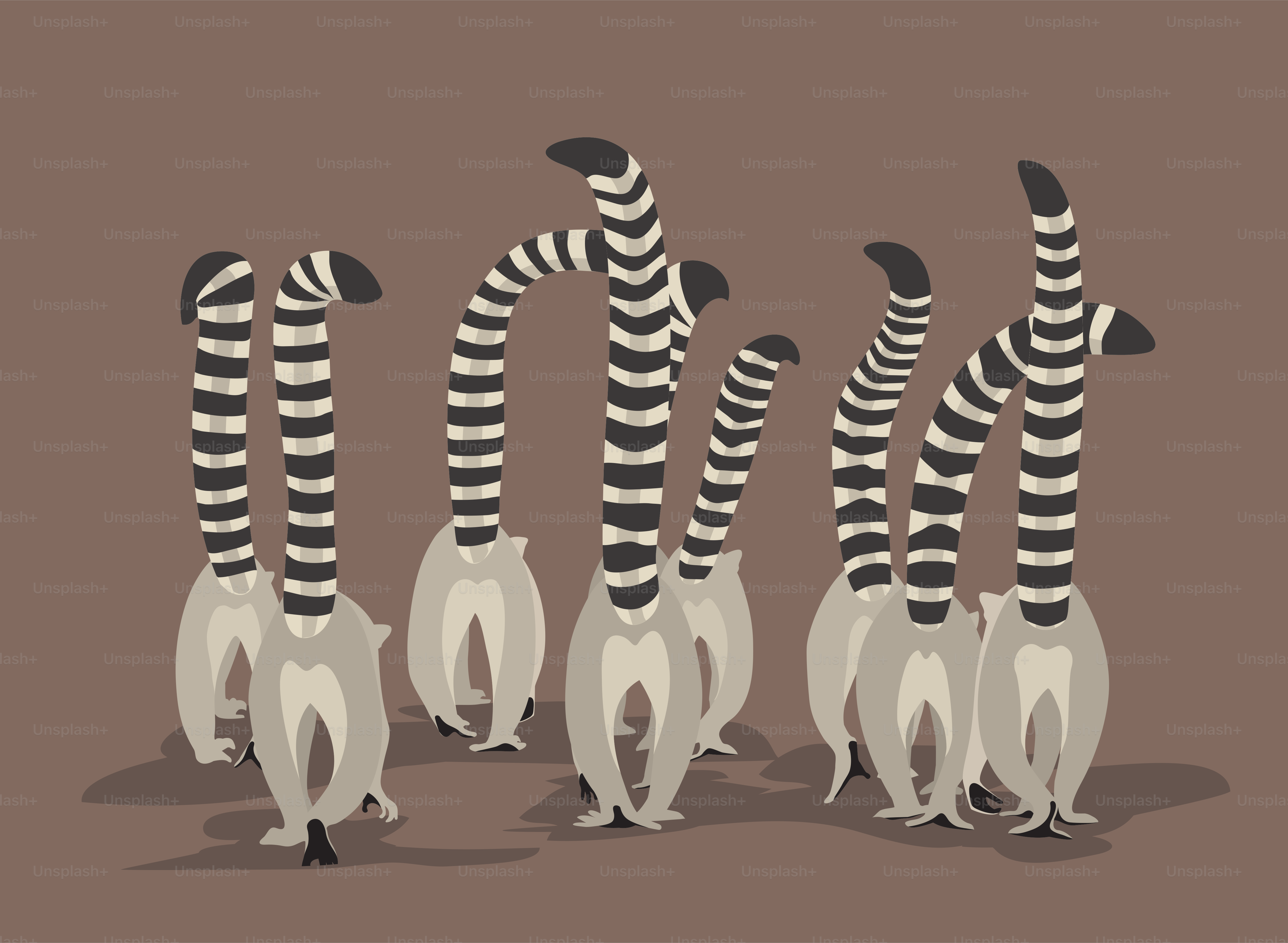 A flock of lemurs moves with proudly raised striped tails vector ...