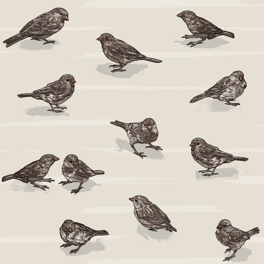 A scattered seamless pattern of adorable sparrows against a simple ...