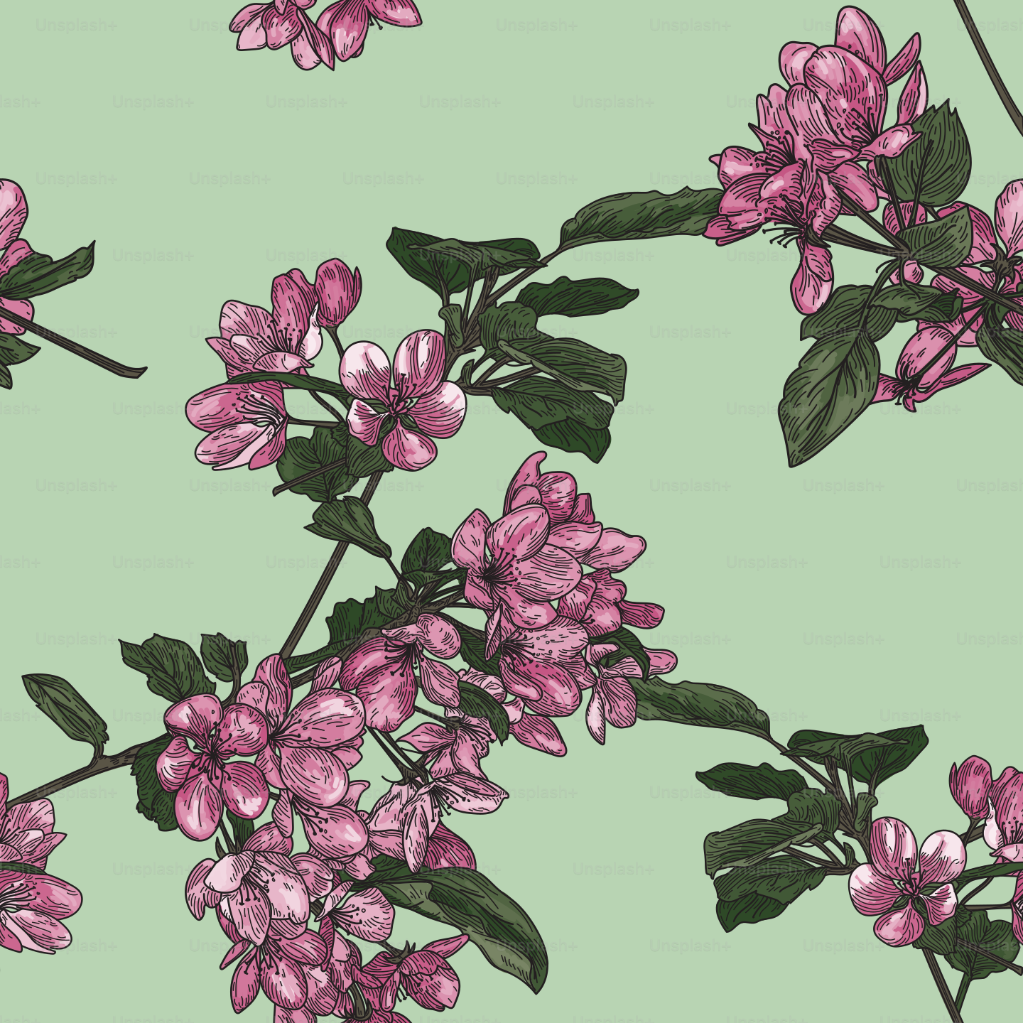 Beautiful vintage line art of the branches of a crabapple tree that ...