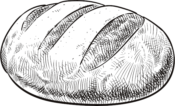 Old style illustration of loaf of rustic bread vector – Loaf of bread ...