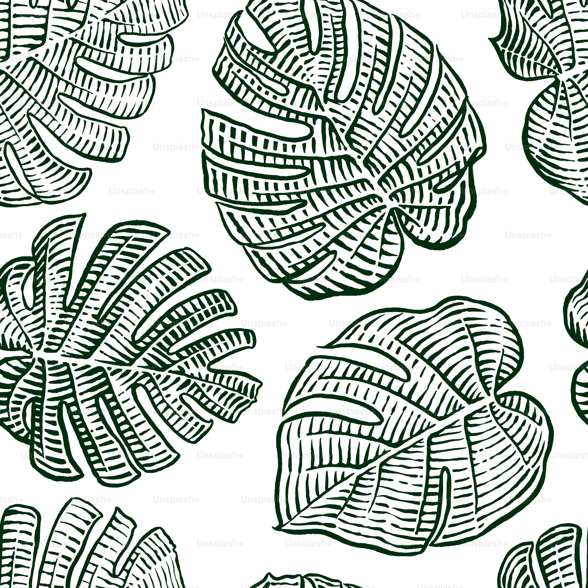 Swiss cheese plant leafs drawings seamless background pattern photo ...